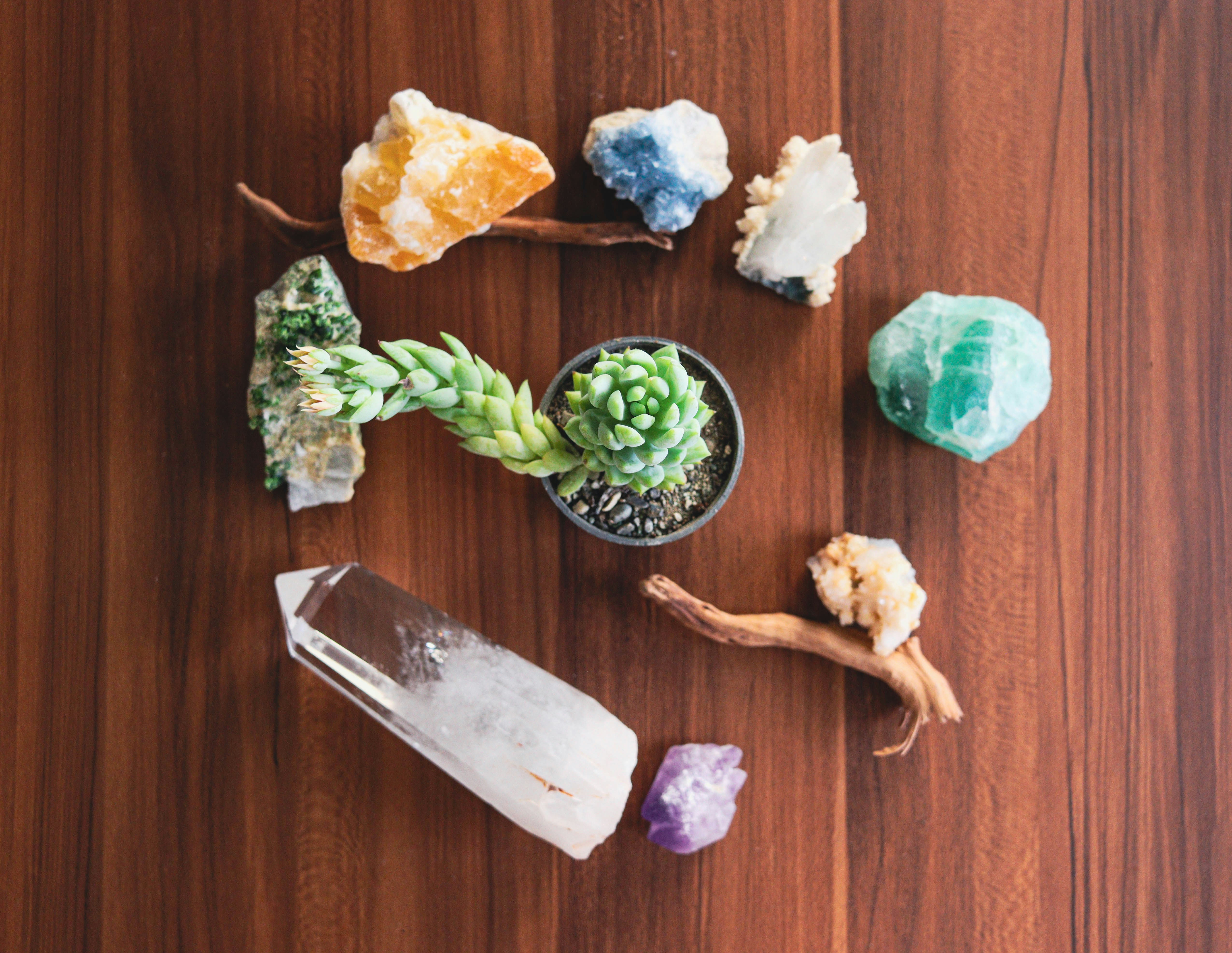 Miniature Garden Center: Succulent in a Clay Pot Surrounded by Colorful Crystals