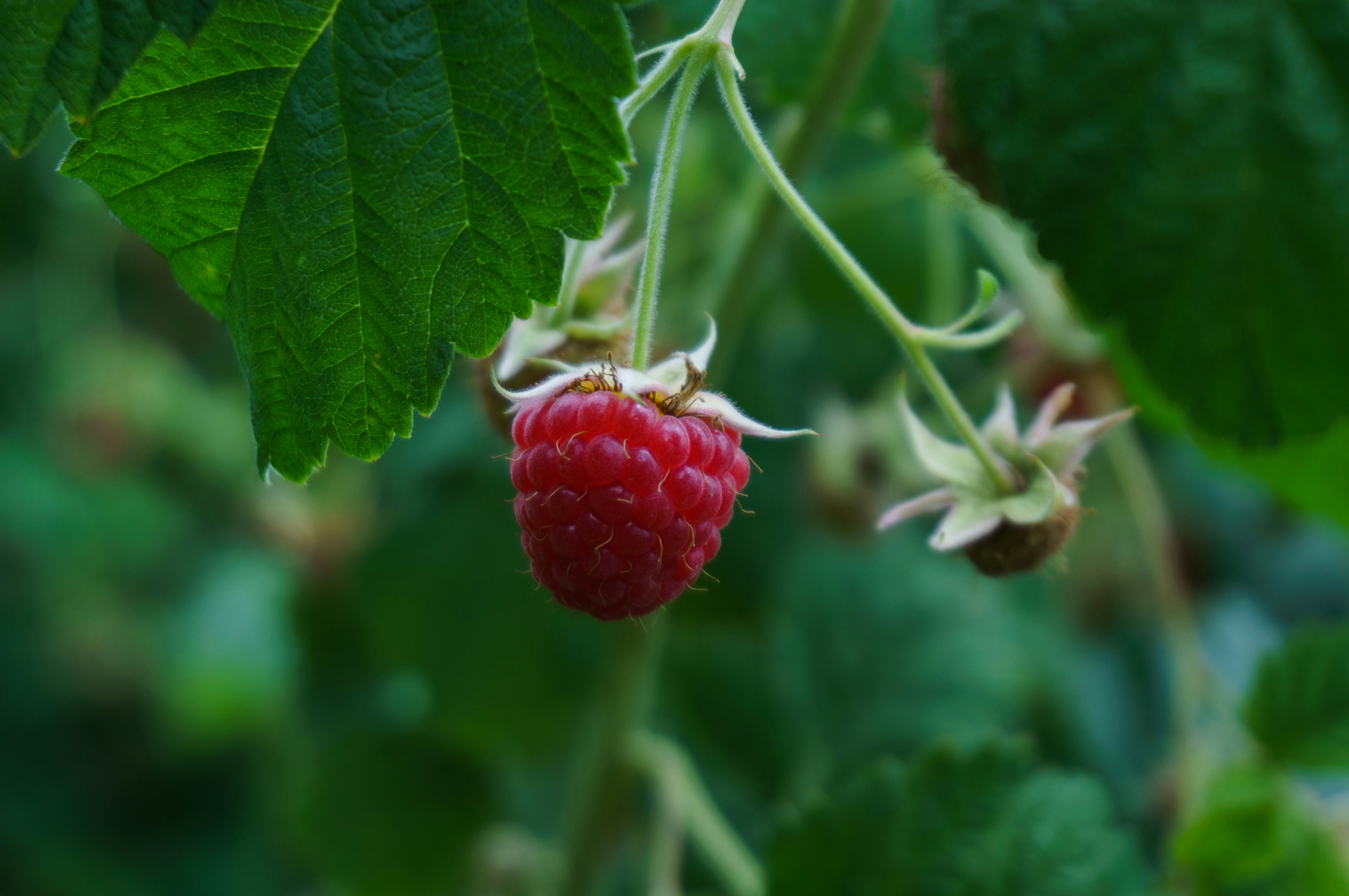 Photo by MAKSIM ZAVIKTORIN with Sony NEX-5T