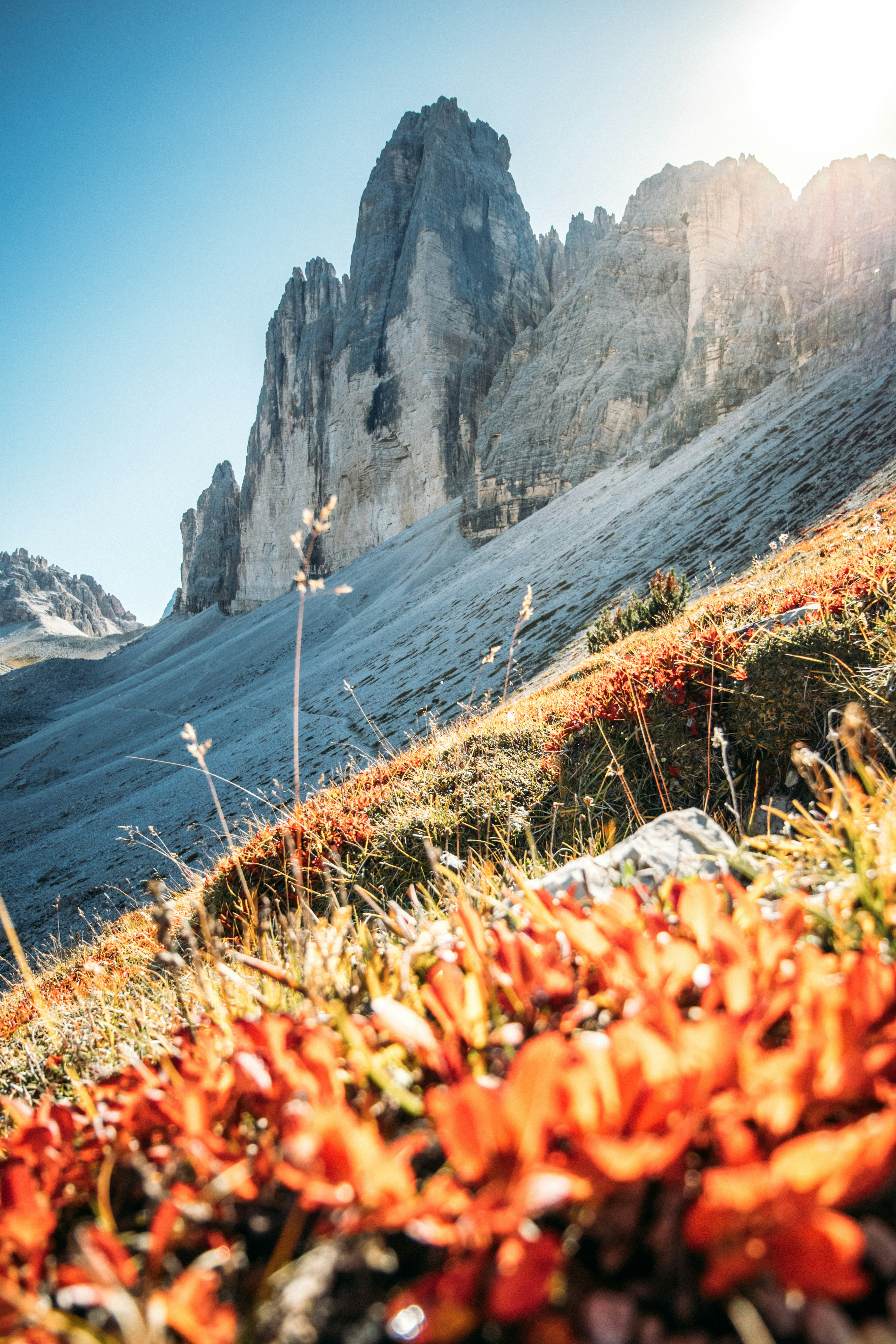 Sunlit summit and alpine meadow in autumn light