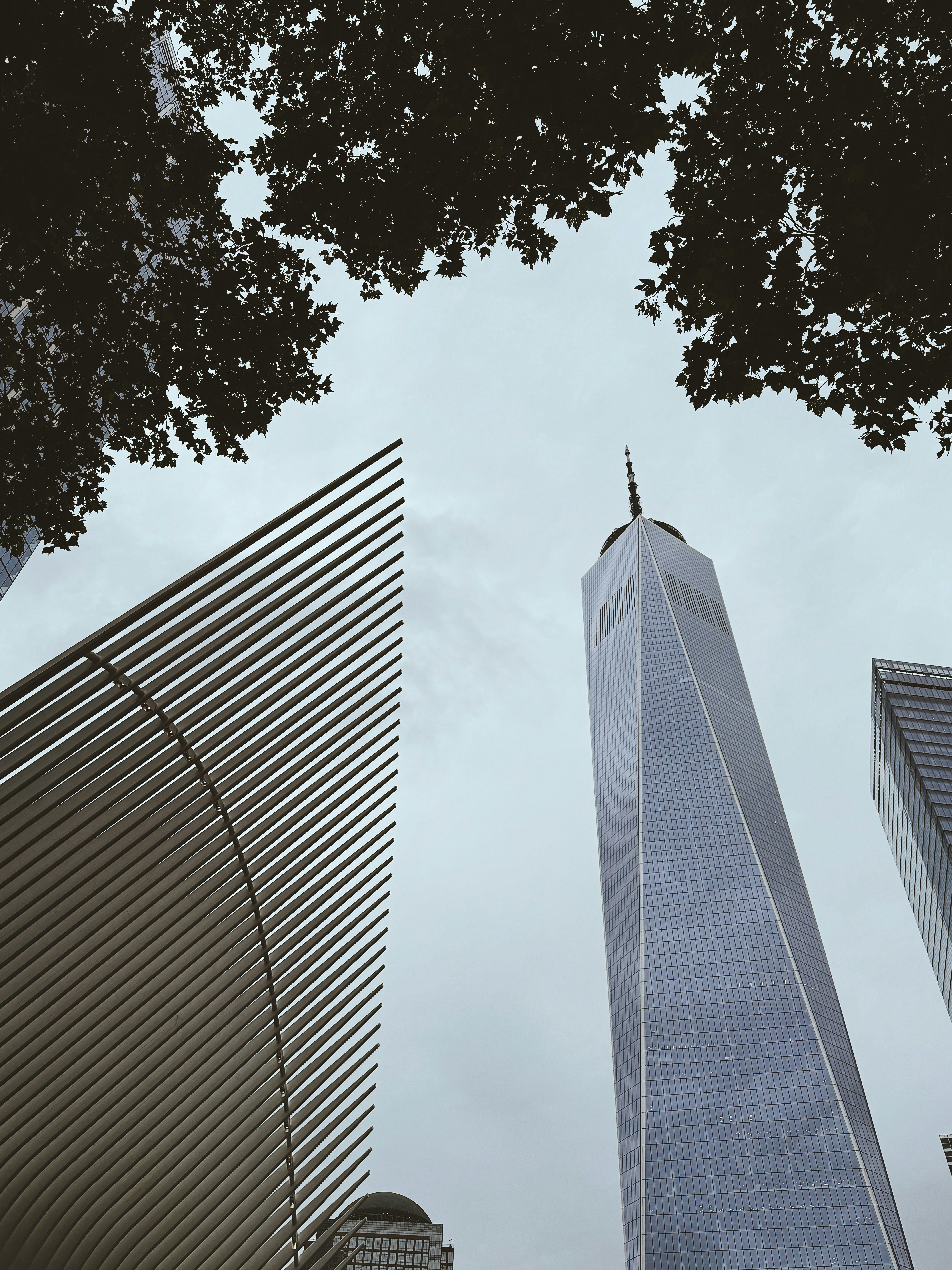 Skyward Glass: A Leaning Trio of Downtown Giants