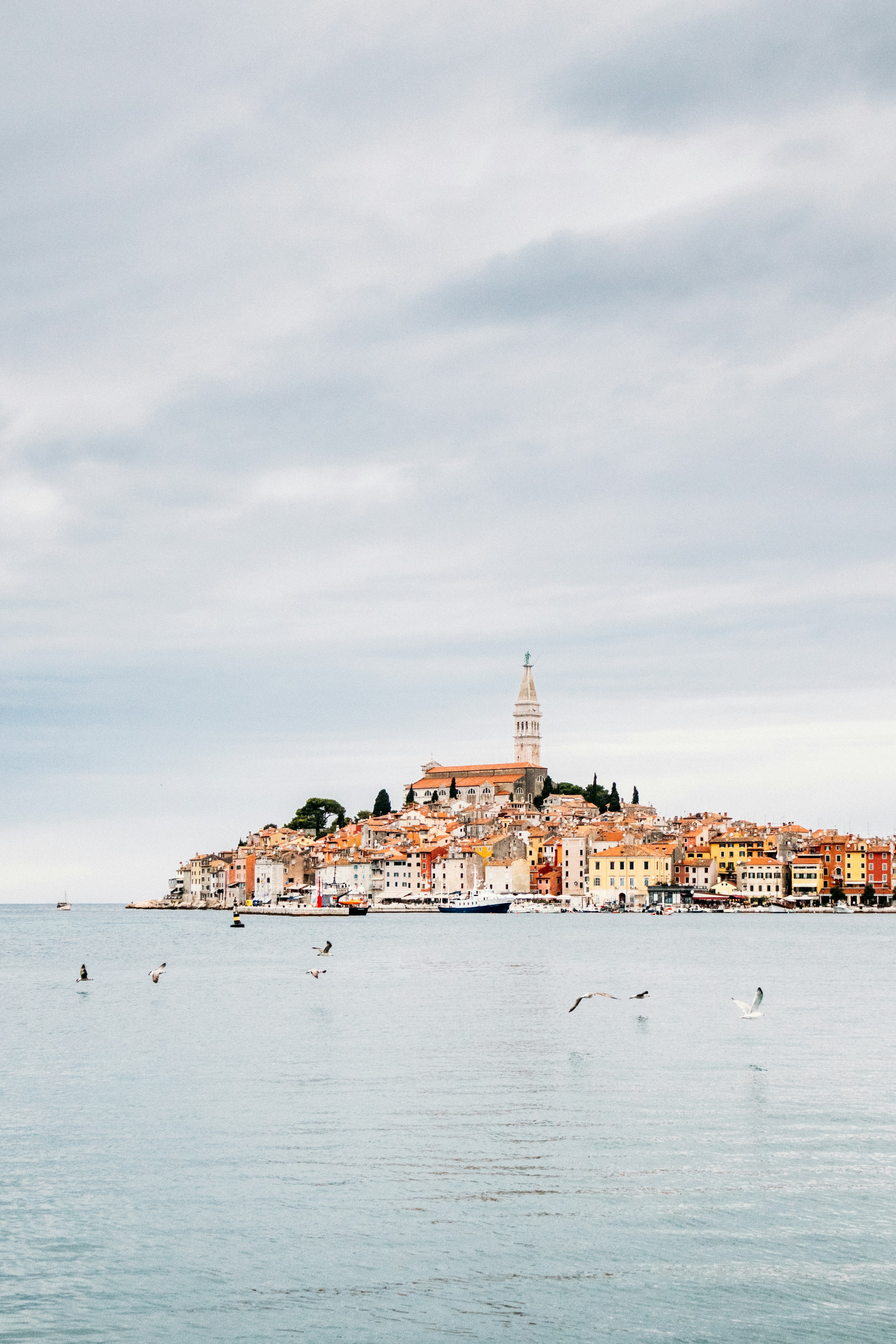 Harbor Town Rising: A Coastal Panorama with a Distinctive Bell Tower