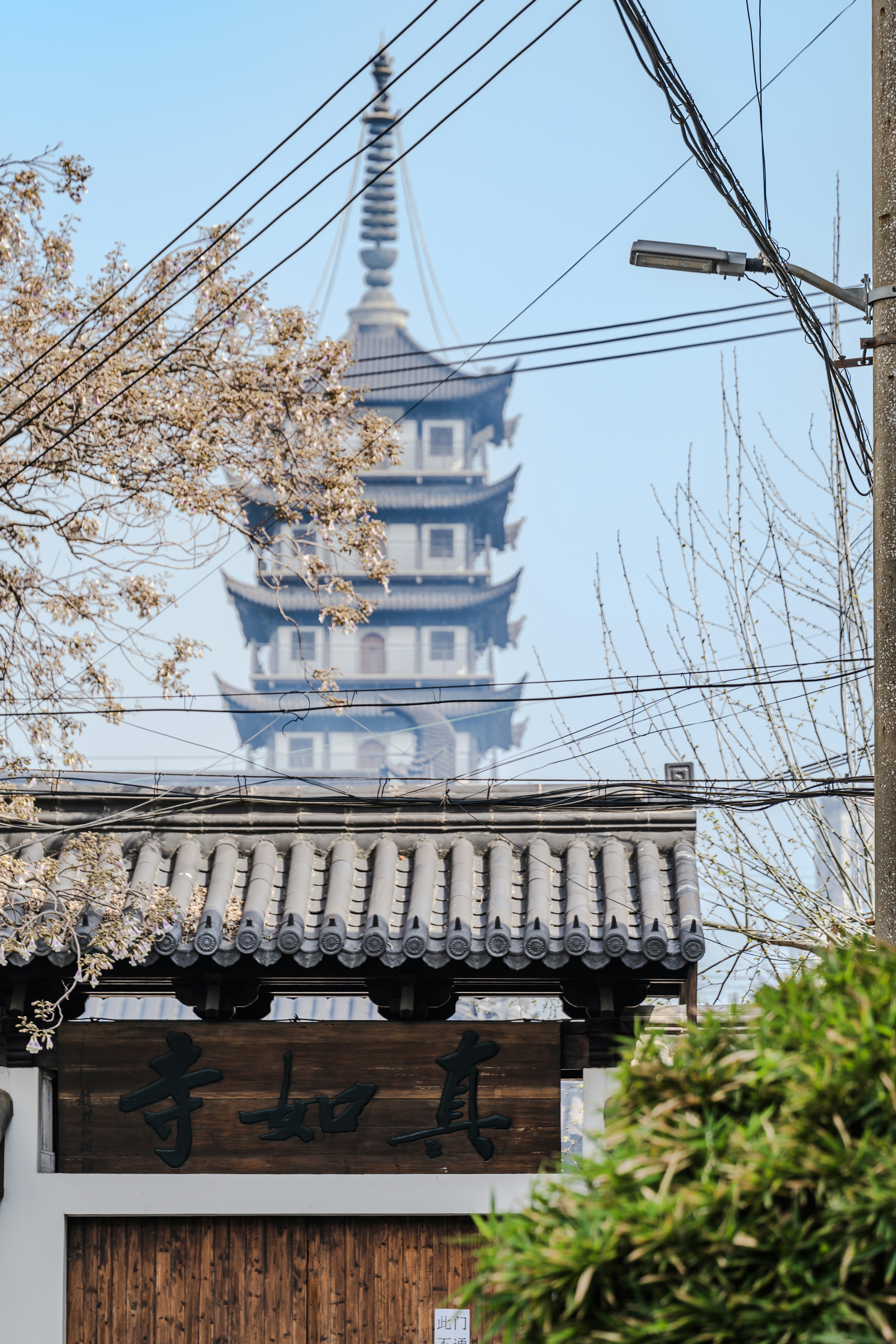 Pagoda Through the Wires: Serenity Behind the Street Gate