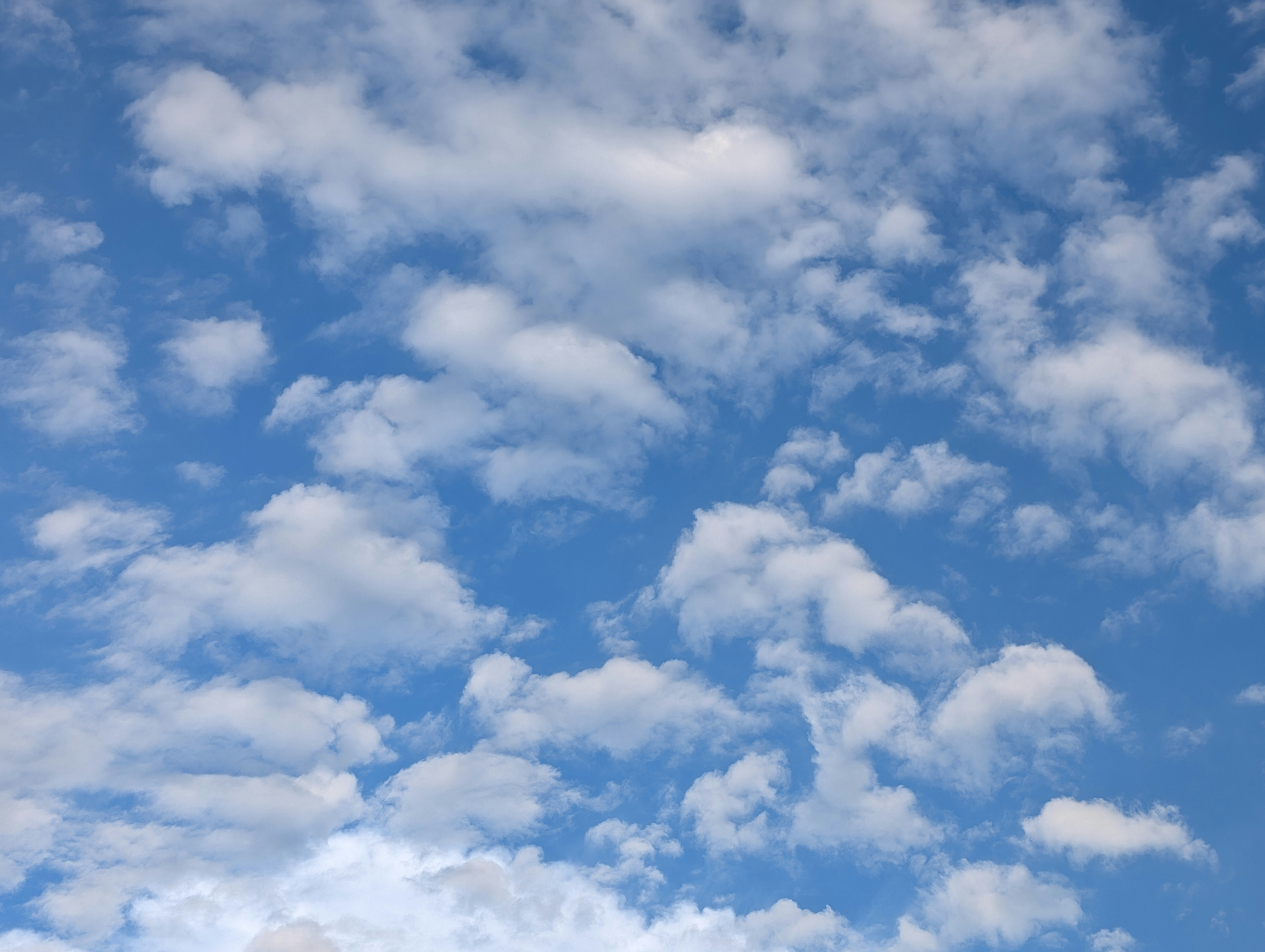 Clear blue sky dotted with wispy white clouds; a tranquil atmospheric shot emphasizing negative space and texture. This is a photographic capture of the sky with no discernible foreground.