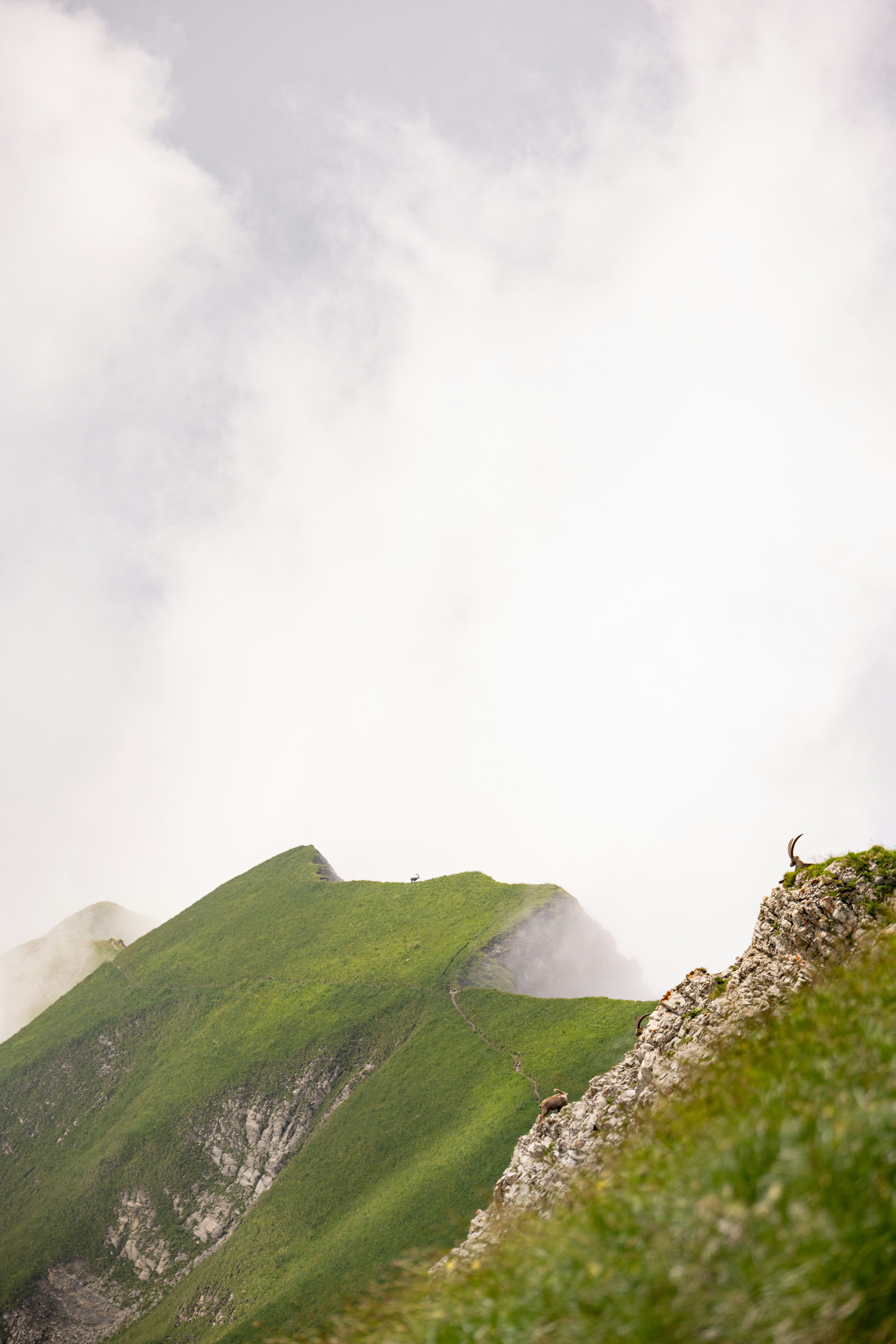Lone Summit Sentry: A Green Ridge under Misty Sky