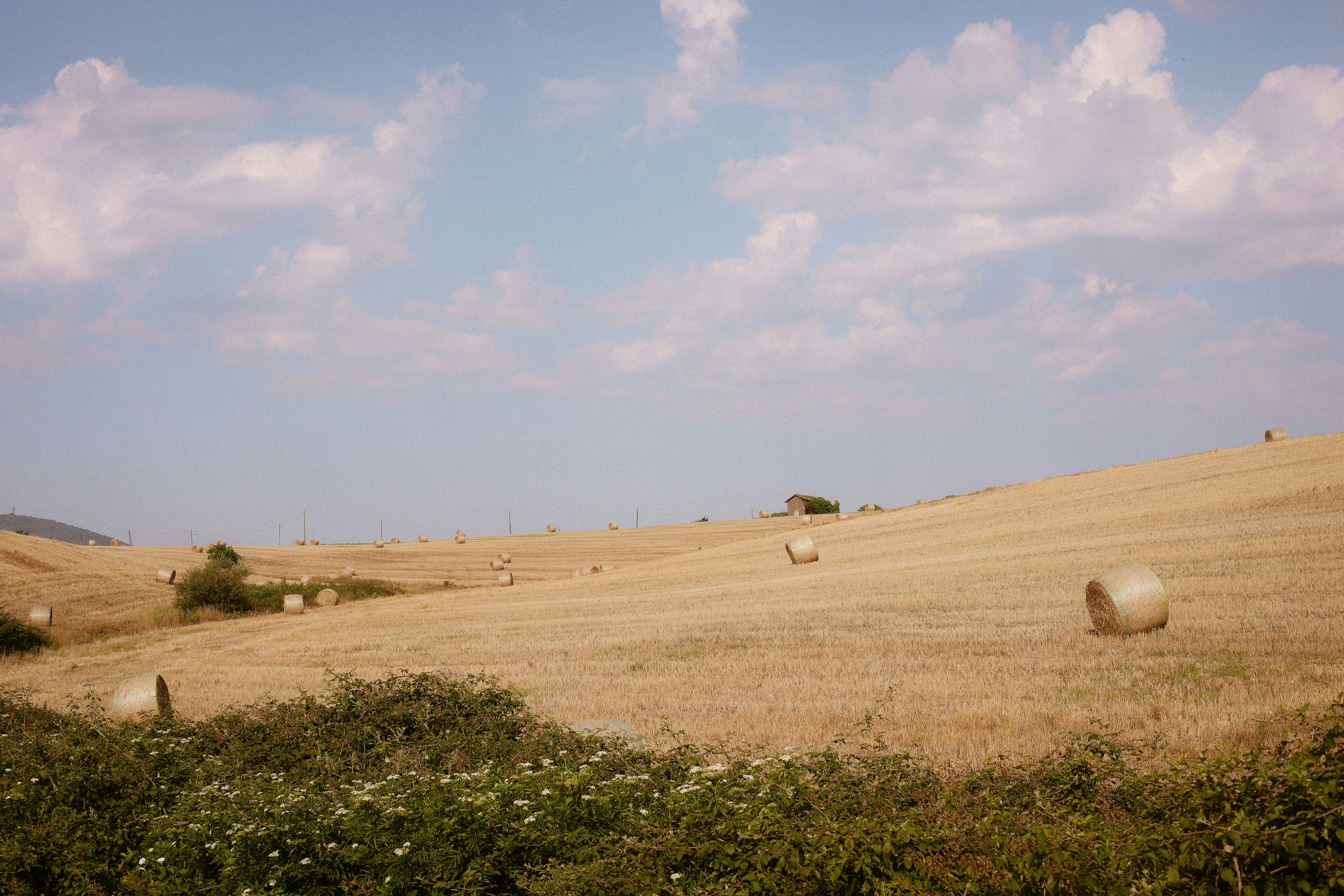 Golden hay fields stretch across rolling terrain with several large round bales and a distant small house under a pale blue sky.