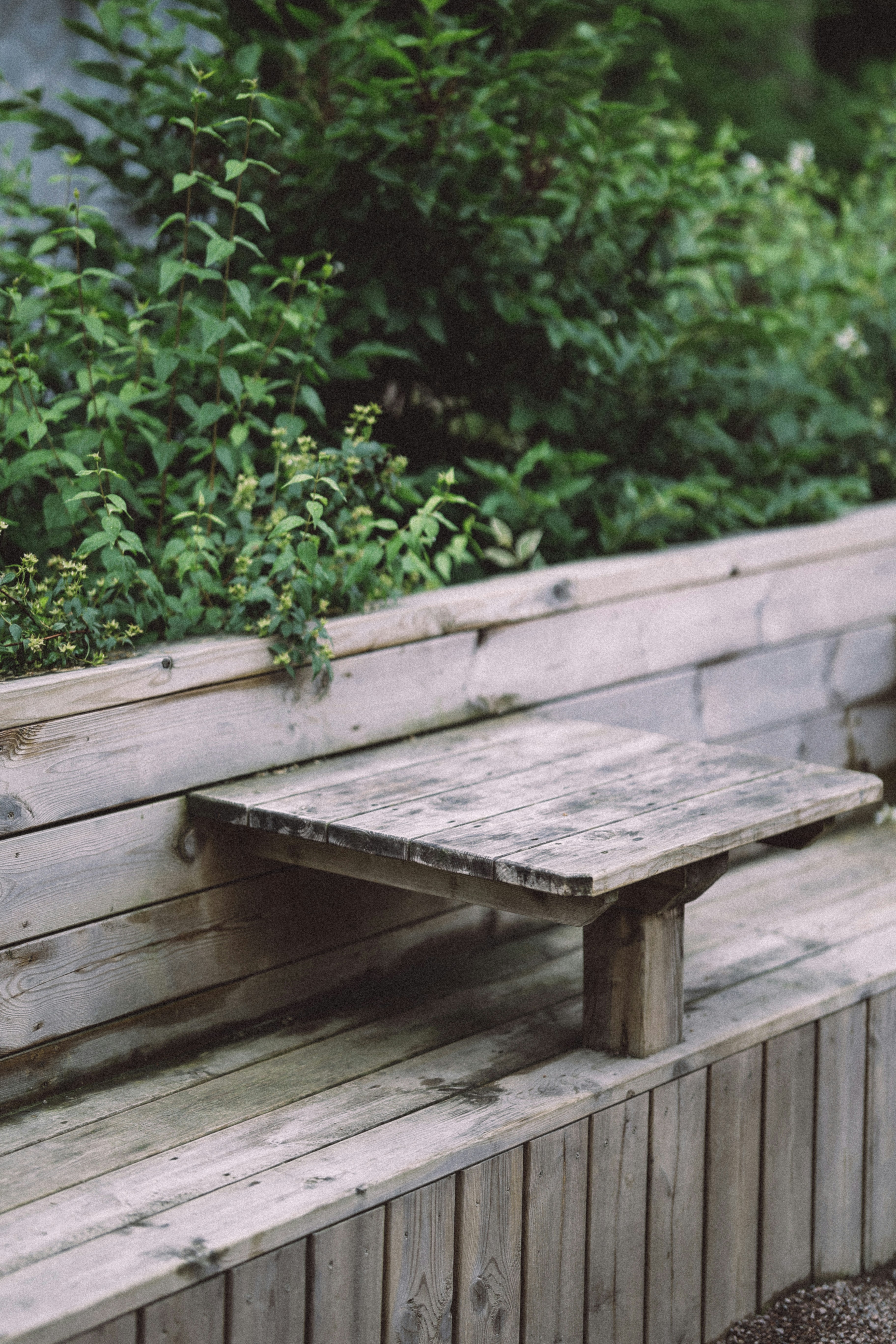 Weathered wooden bench with trailing greenery along a raised garden bed