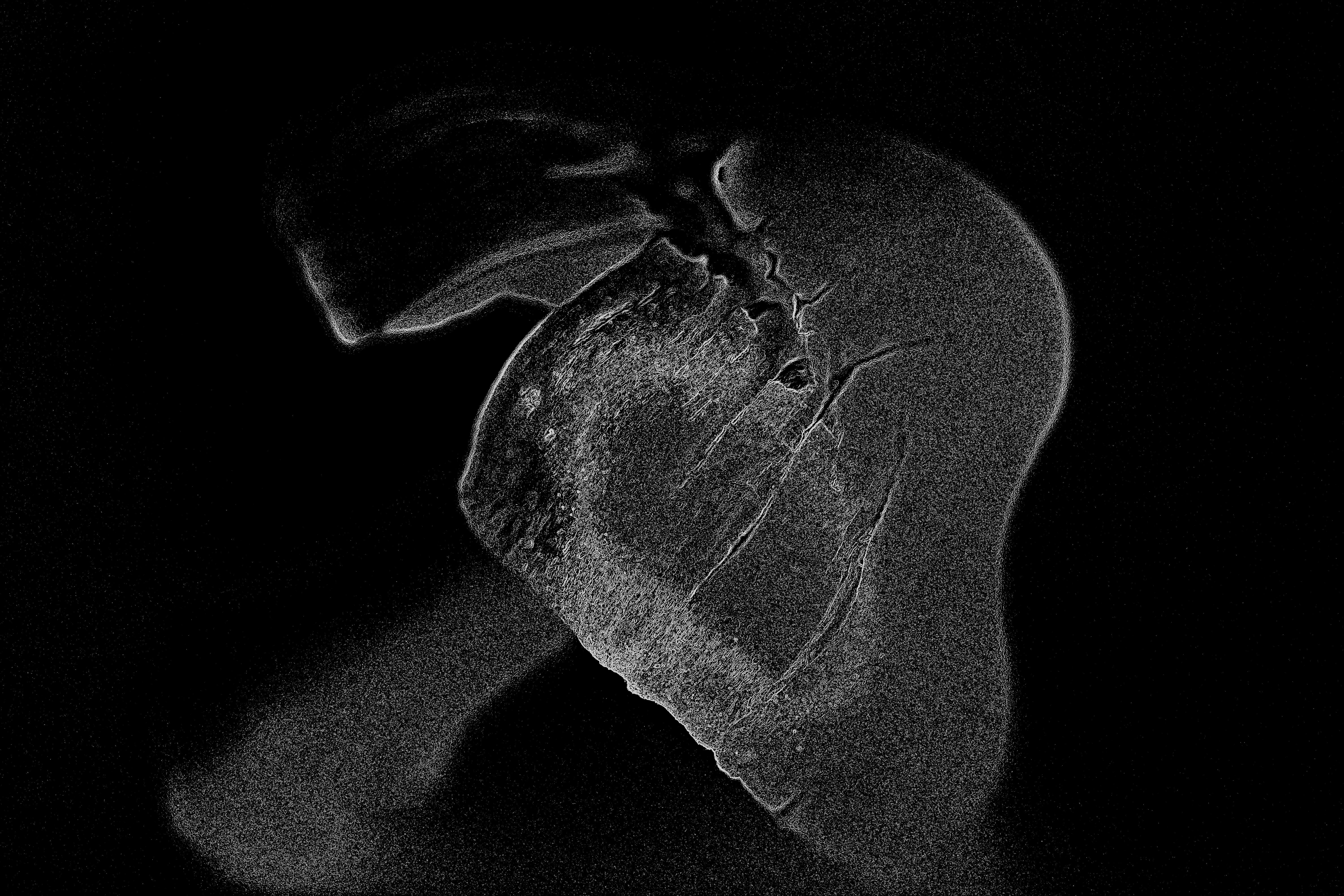 Crackling Void: A Silhouette in Static Silence