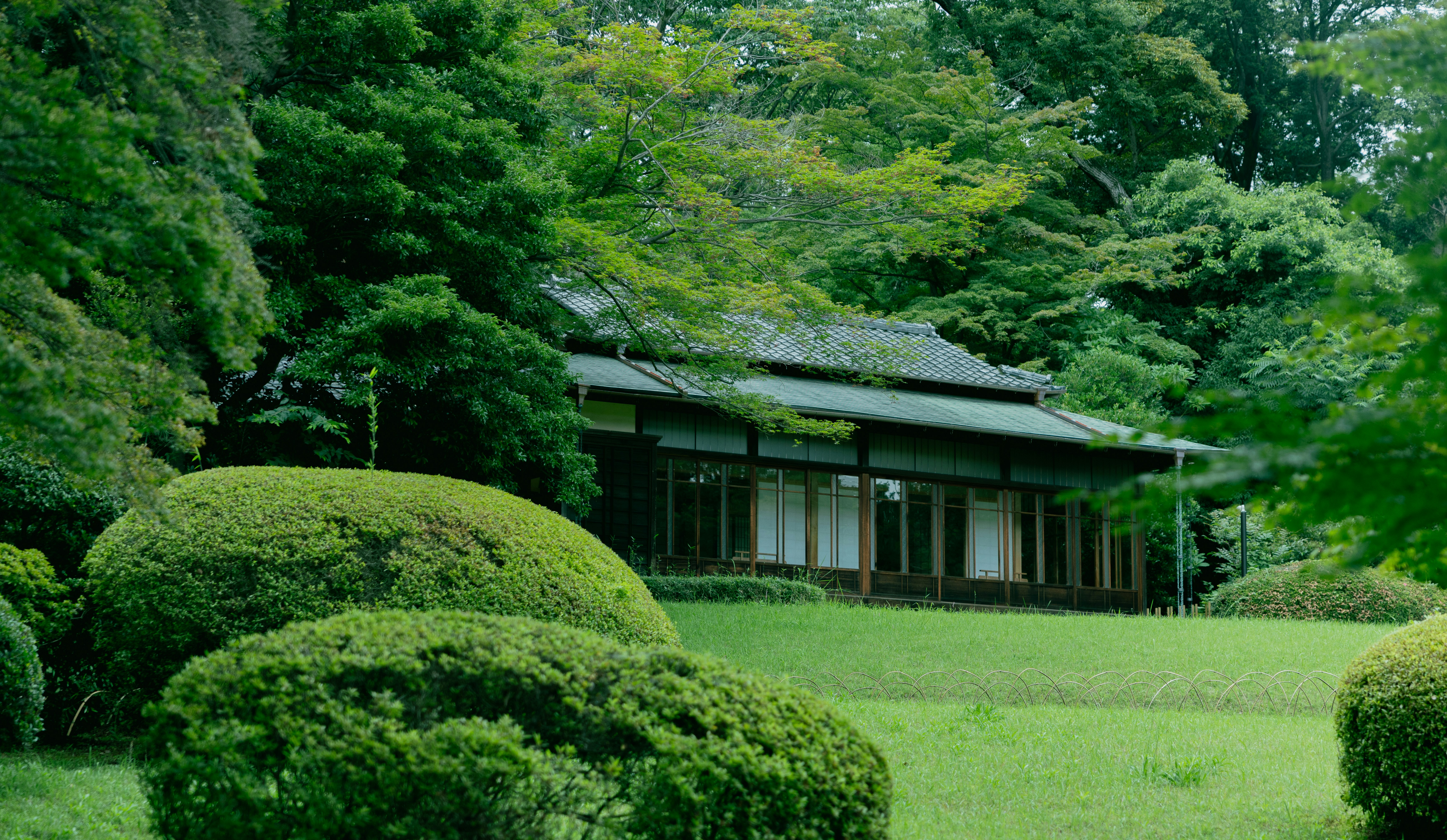 Serene Japanese Tea House Amid Sculpted Evergreens