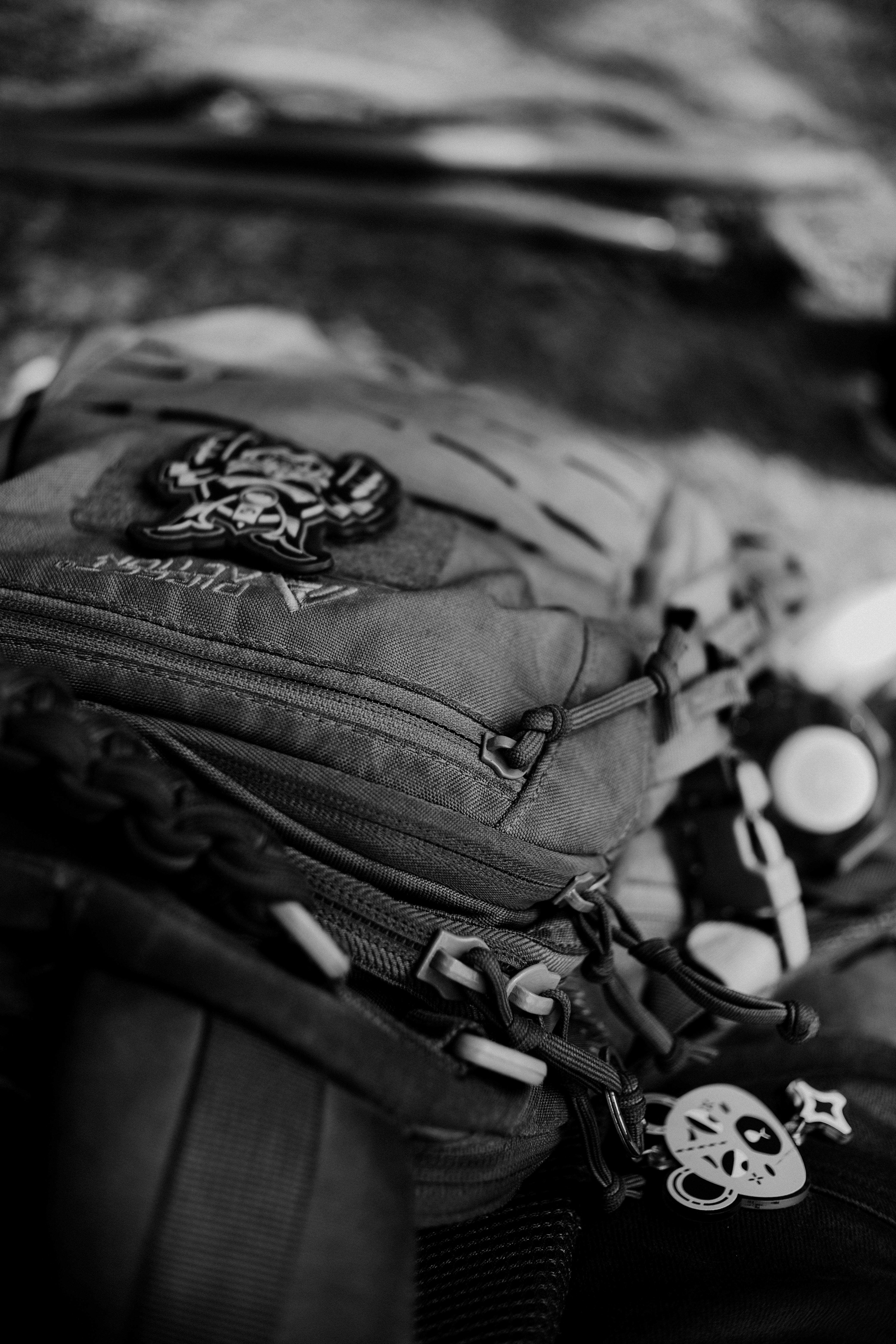 Gear Close-Up: The Backpack's Badge in Focus