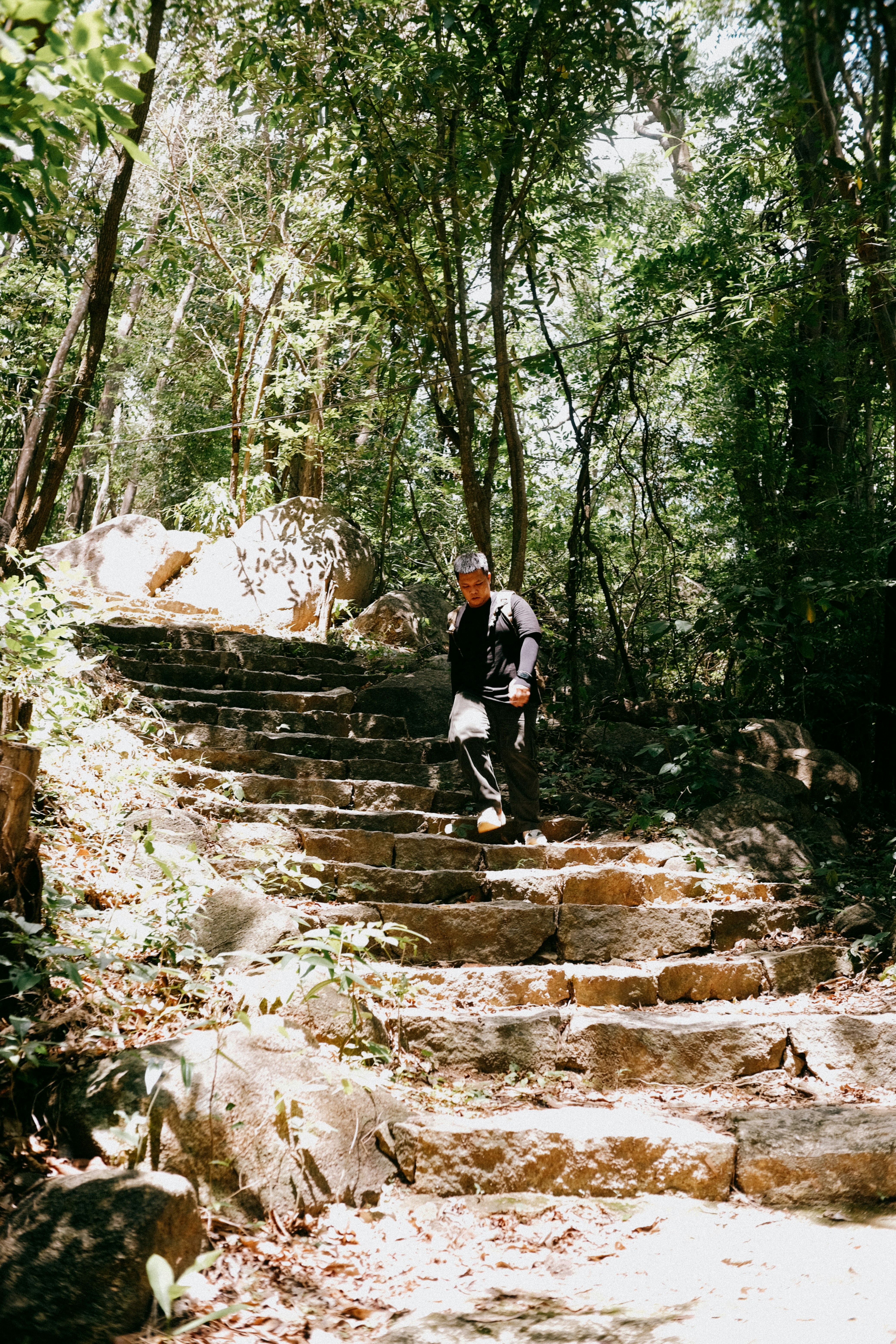 Traveler on Stone Steps Beneath a Quiet Forest Canopy