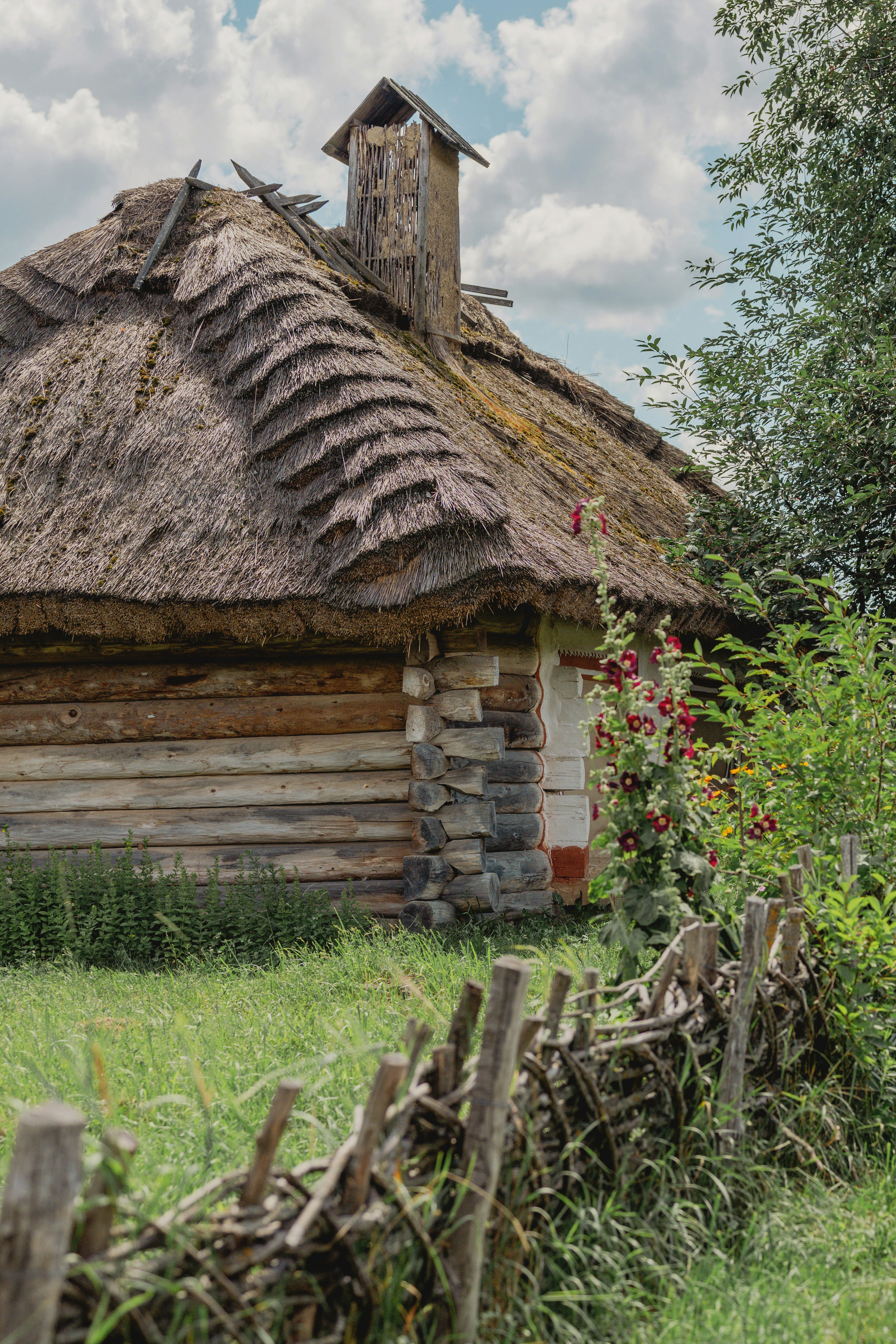 Thatched Cottage with Mossy Roof and Garden Path