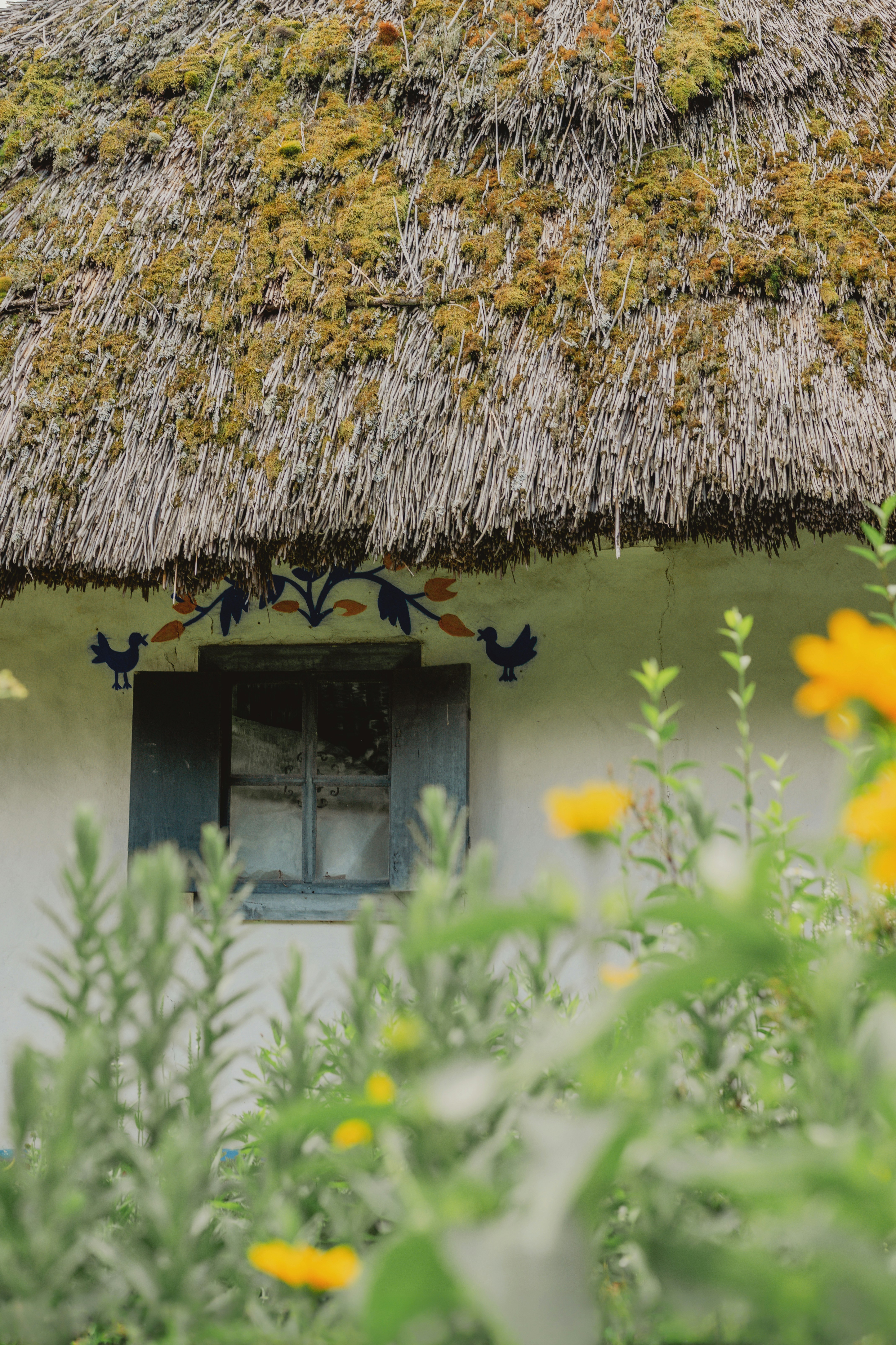 Rustic house with a moss-covered thatched roof and painted window.