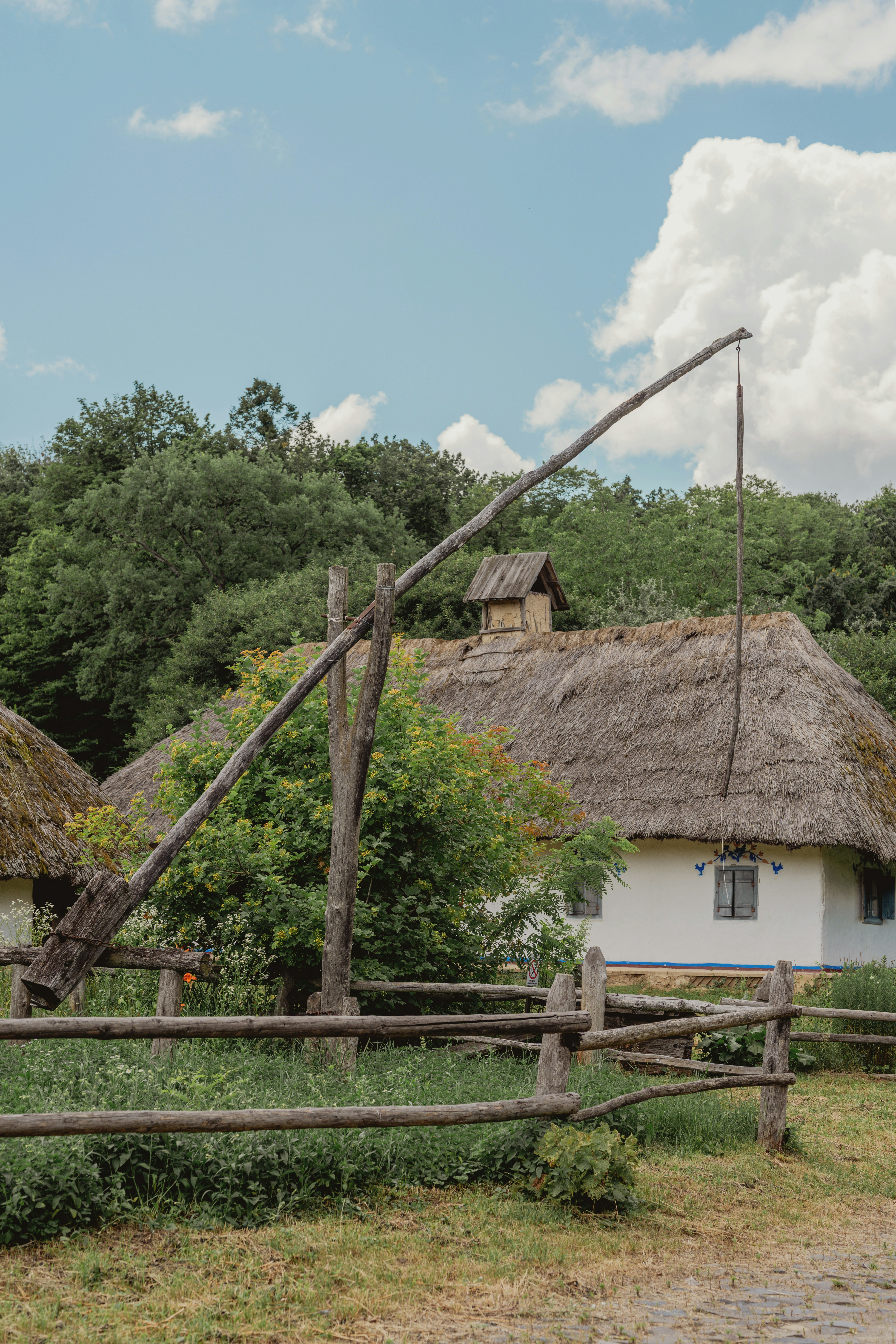 Thatched Cottage on a Quiet Daybreak Lane