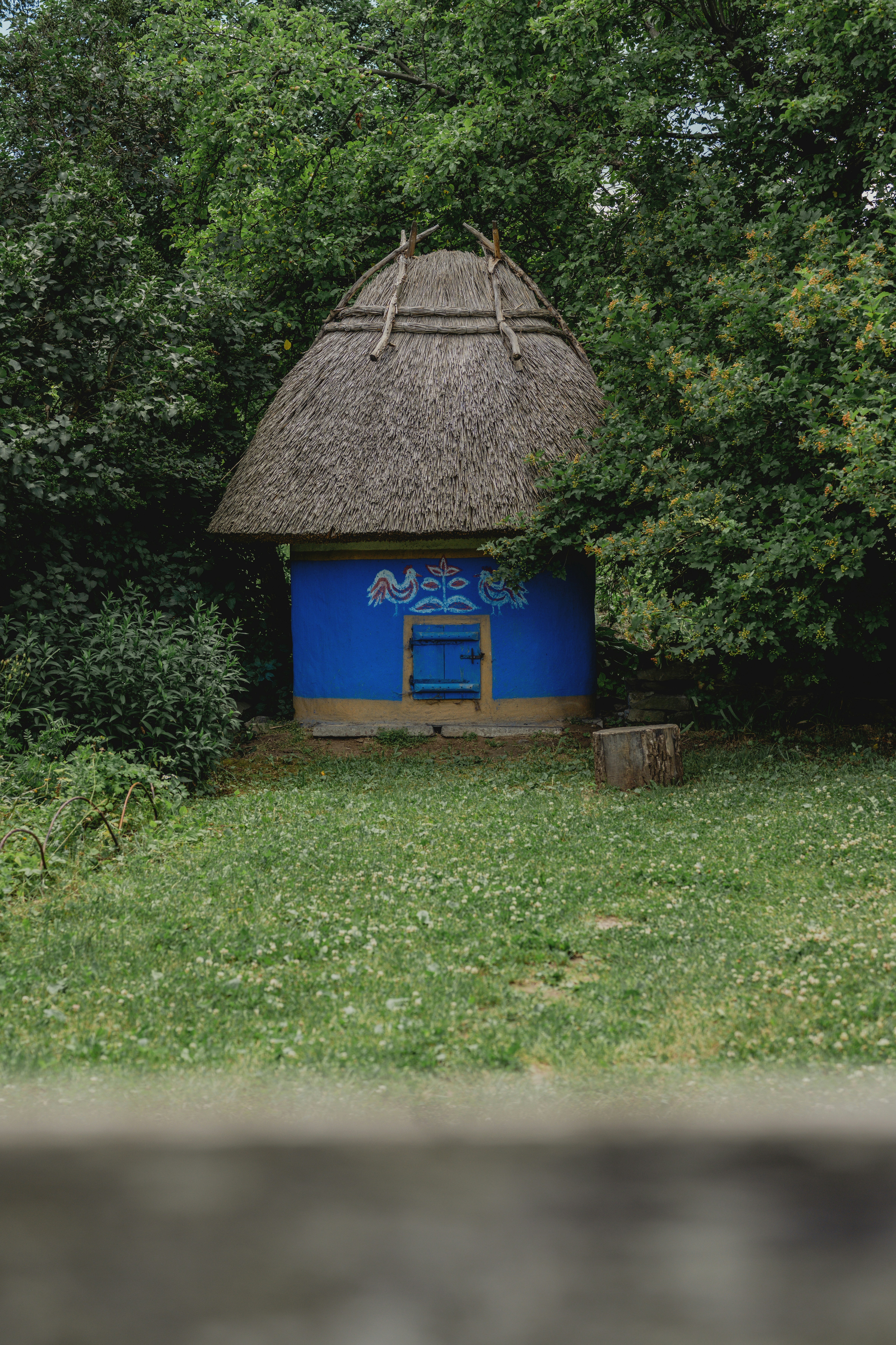 Blue Roundhouse with thatched Roof hidden in the Green
