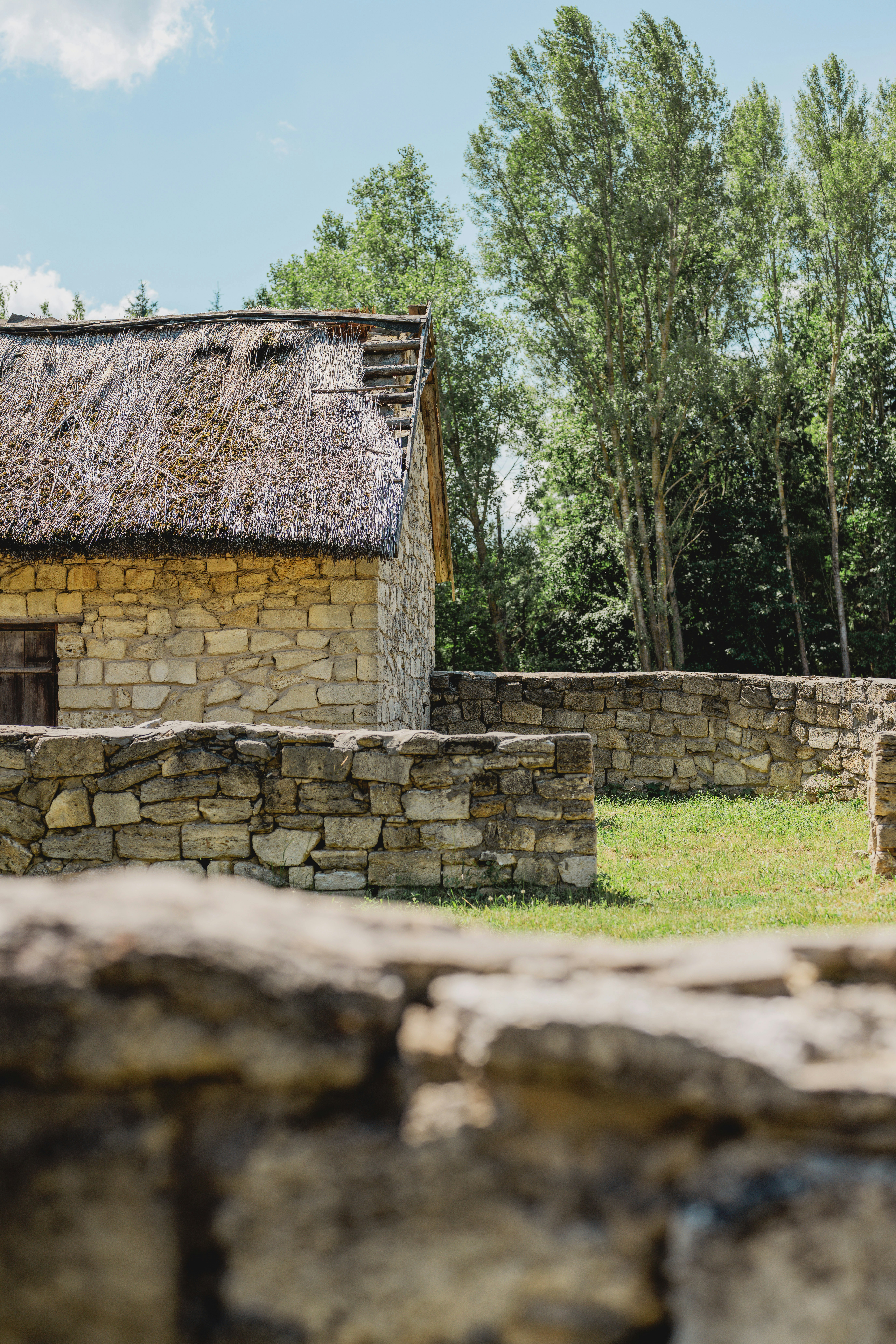 Stone Cottage by the Orchard: A Quiet Slice of Rural Calm