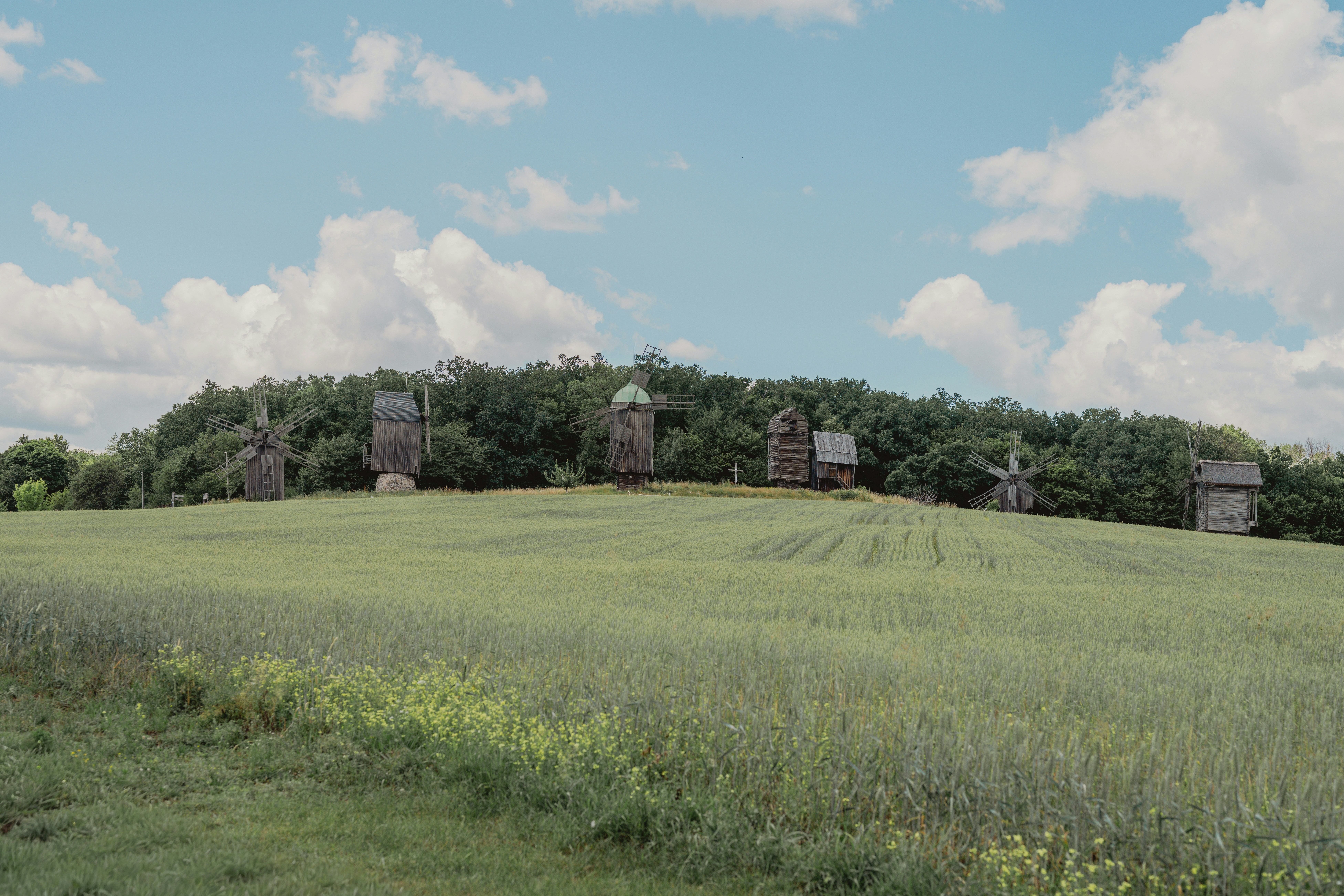 Row of Weathered Windmills Across a Quiet Field