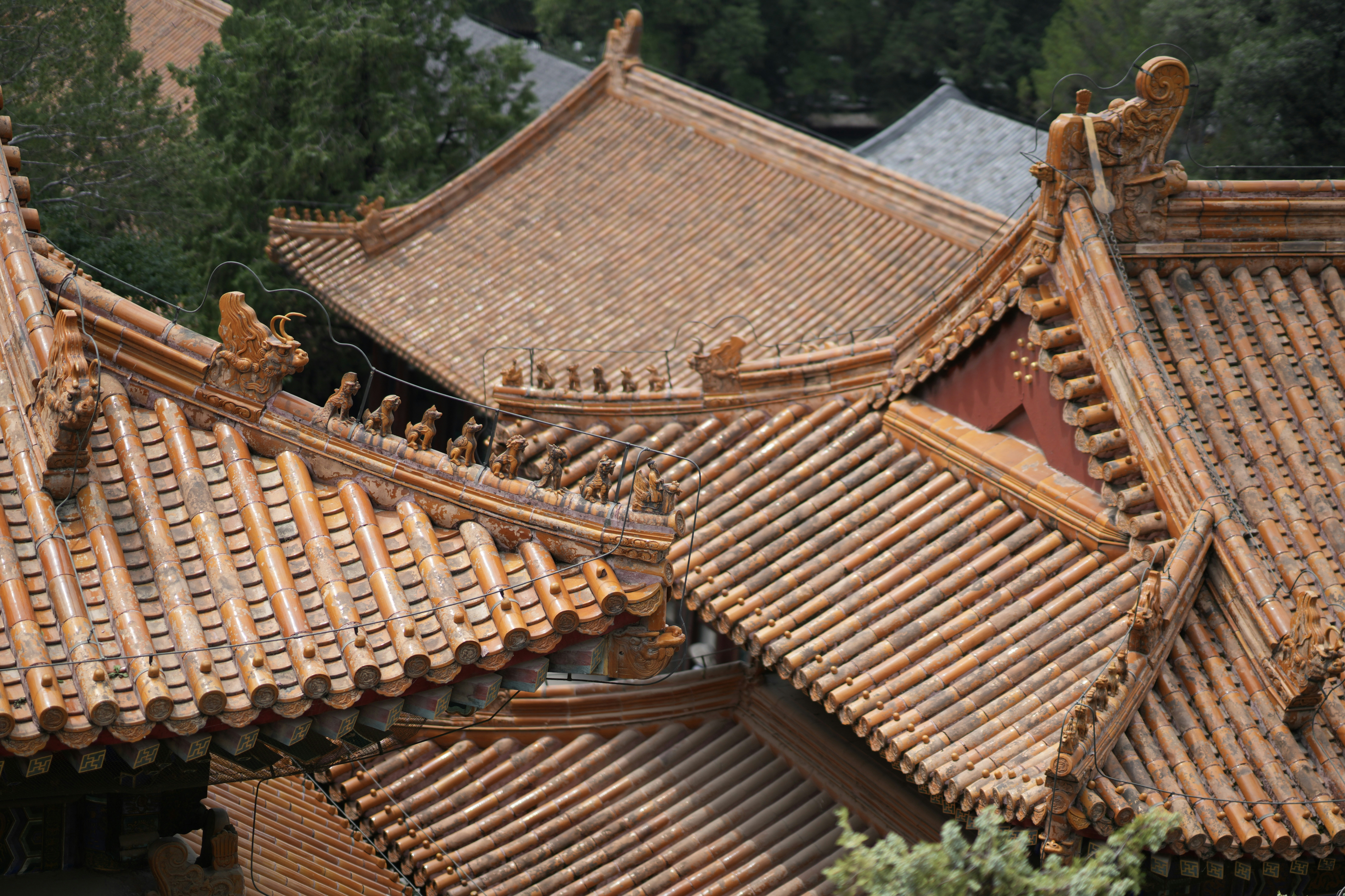 Terracotta Riveted Tiers: A Sea of Historic Rooflines