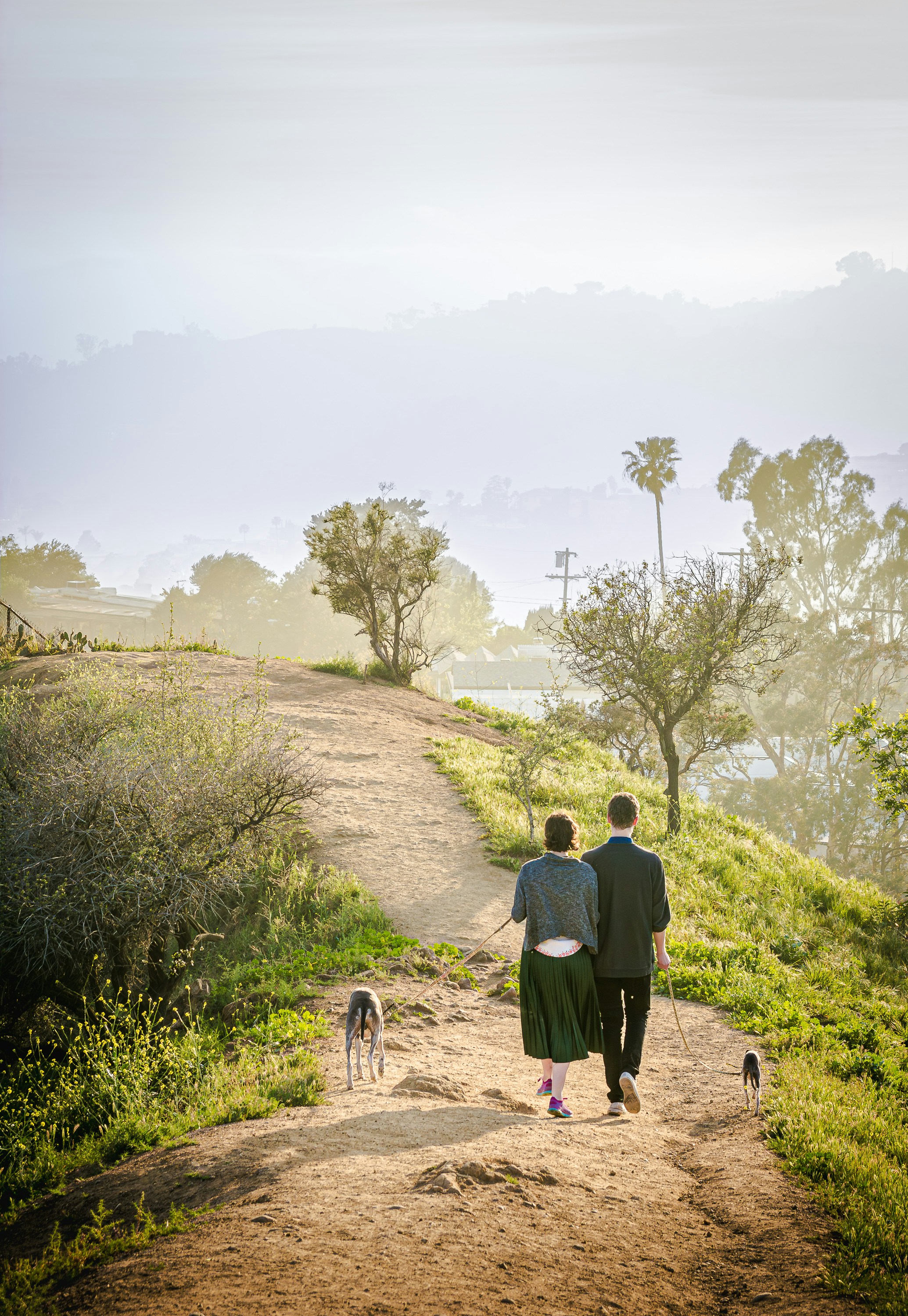 People walking up a sunlit dirt path with dogs on either side, trees and shrubbery lining the trail, hazy hills in the distance.