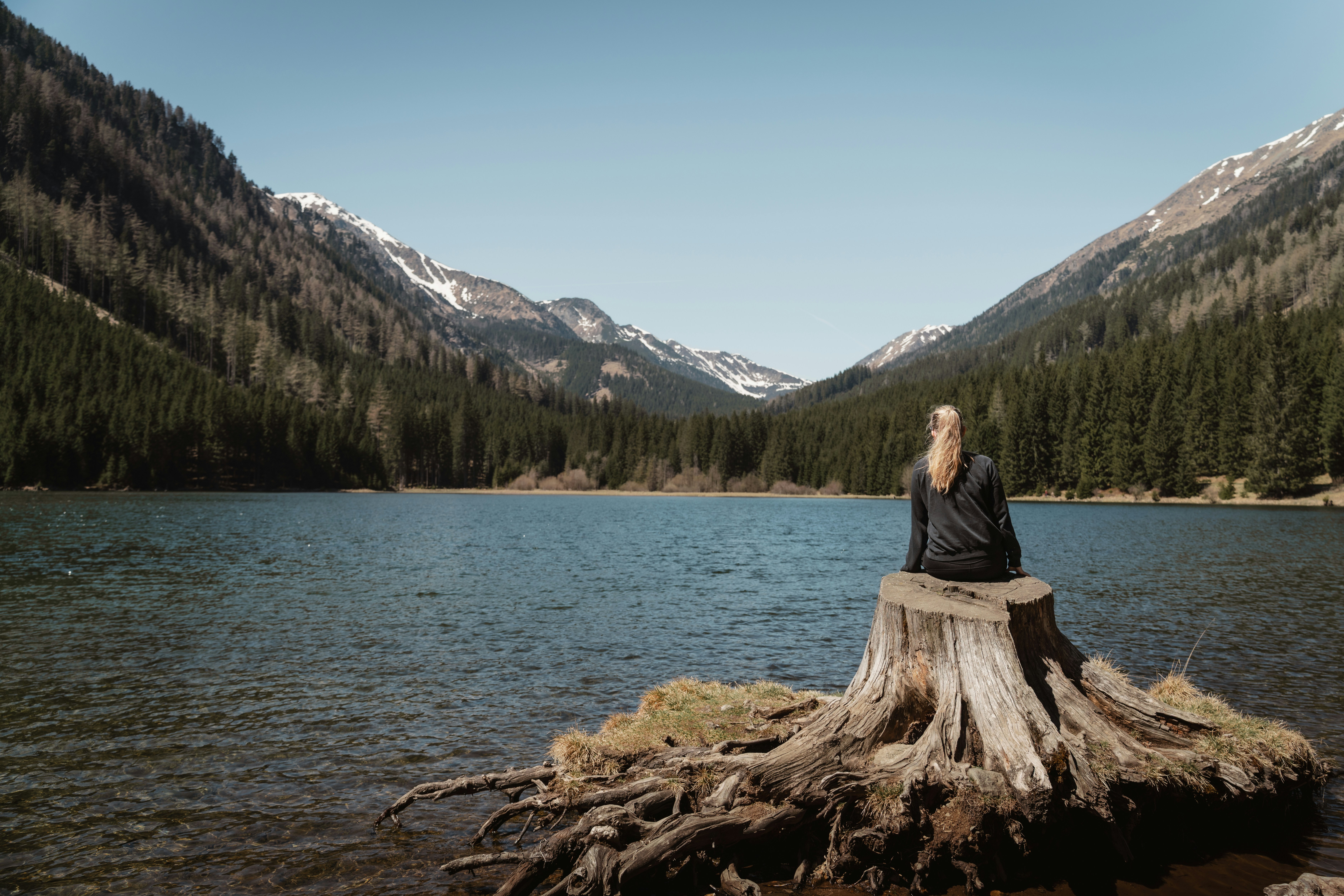 Lone Figure on a Weathered Trunk in a Mountain Mirror
