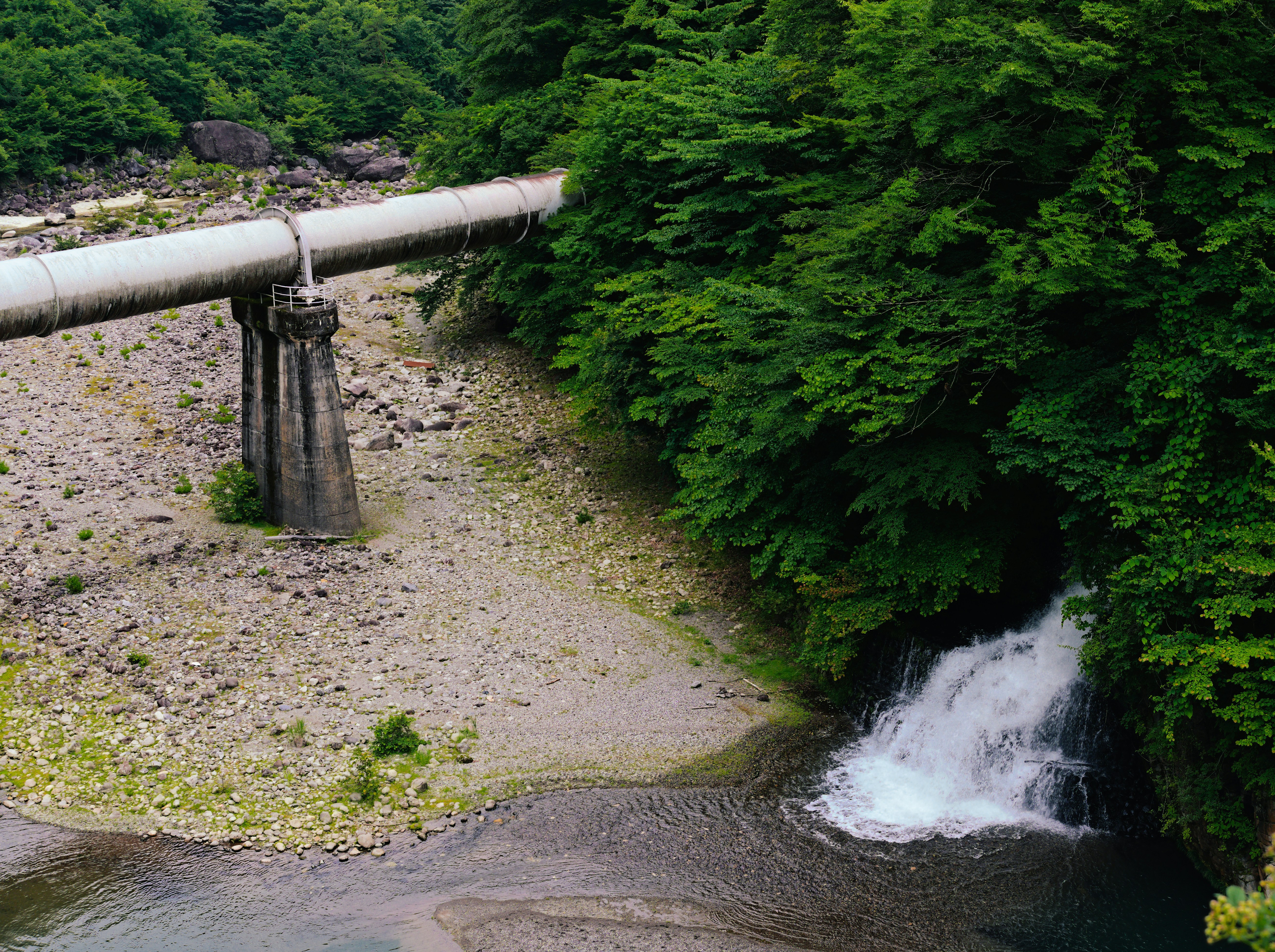 Photo by kai muro with Olympus OM-D E-M1 Mark II