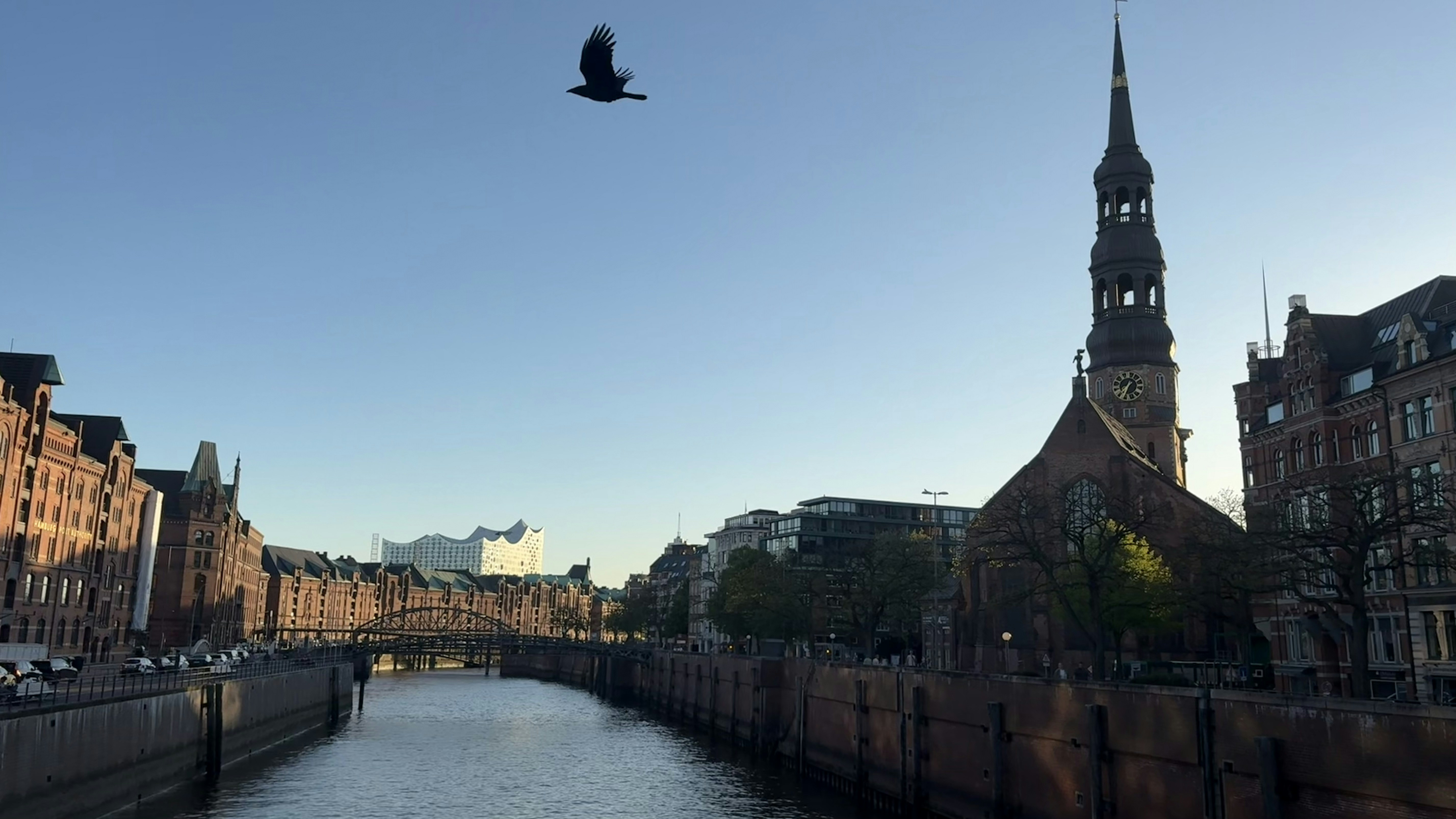 Canal in historic city with church spire and flying bird.