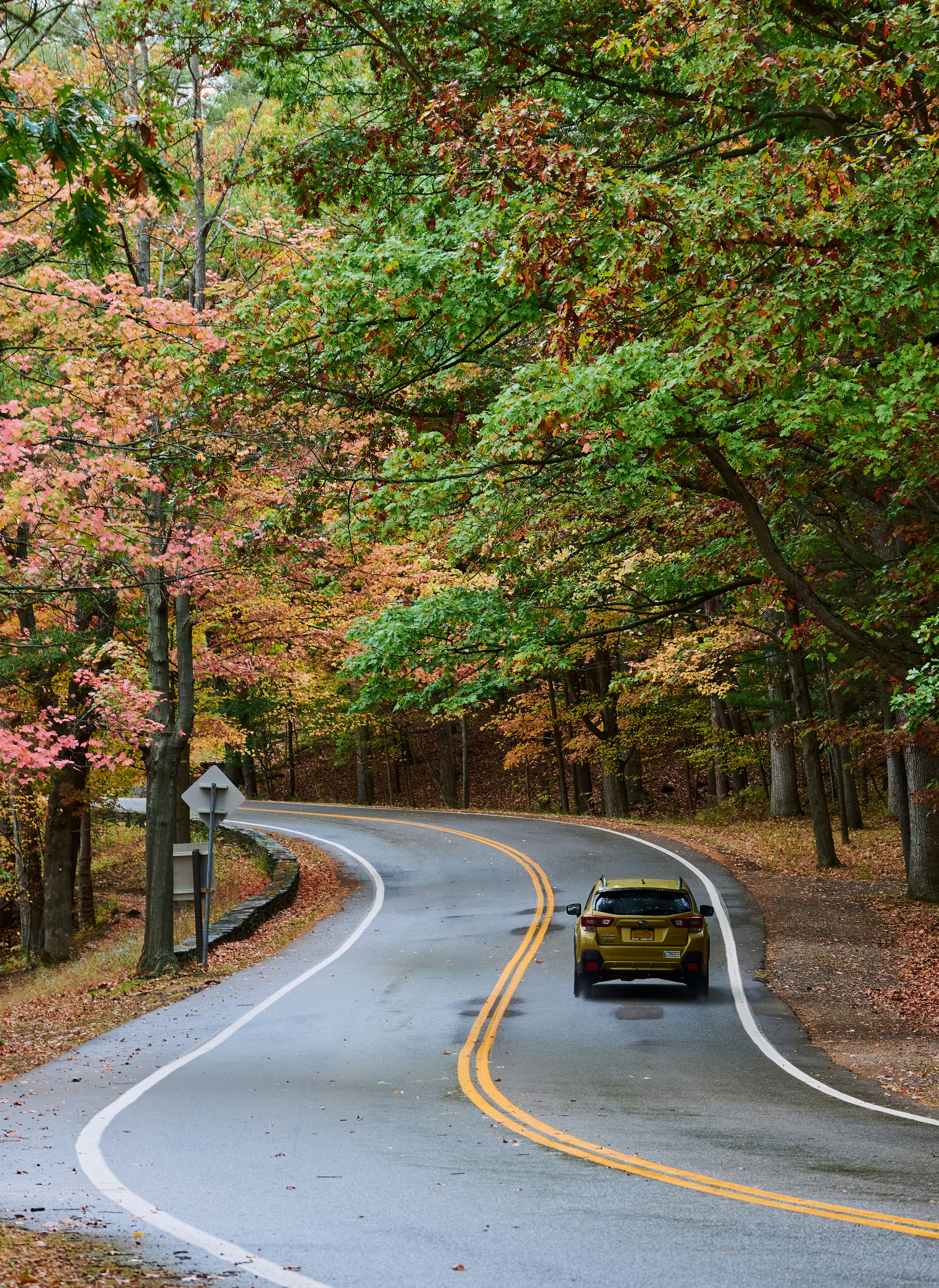 Emerald Lane: A Car Wanders Through Autumn’s Ribboned Road
