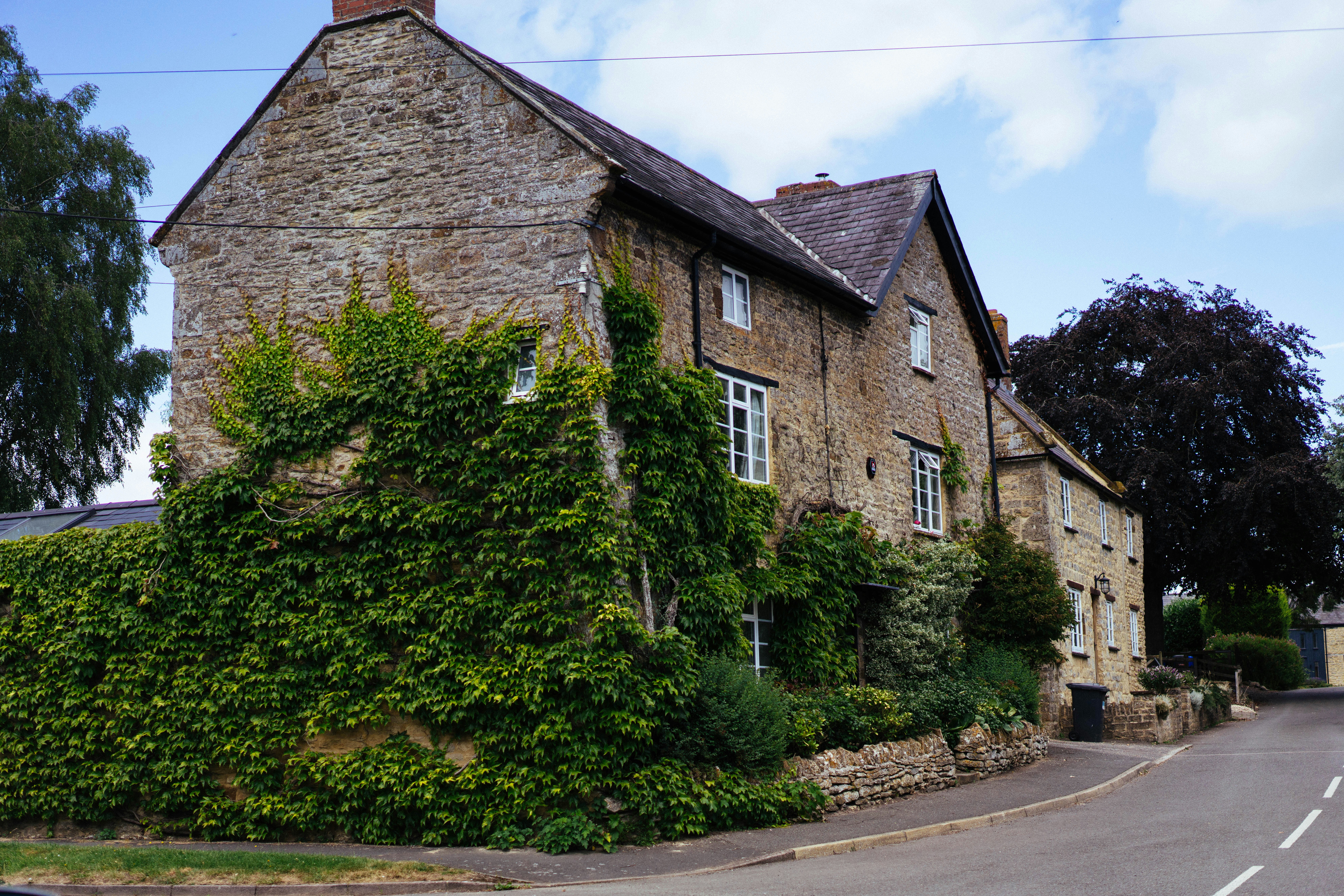  ivy-clad stone cottage at the curve of a rural lane