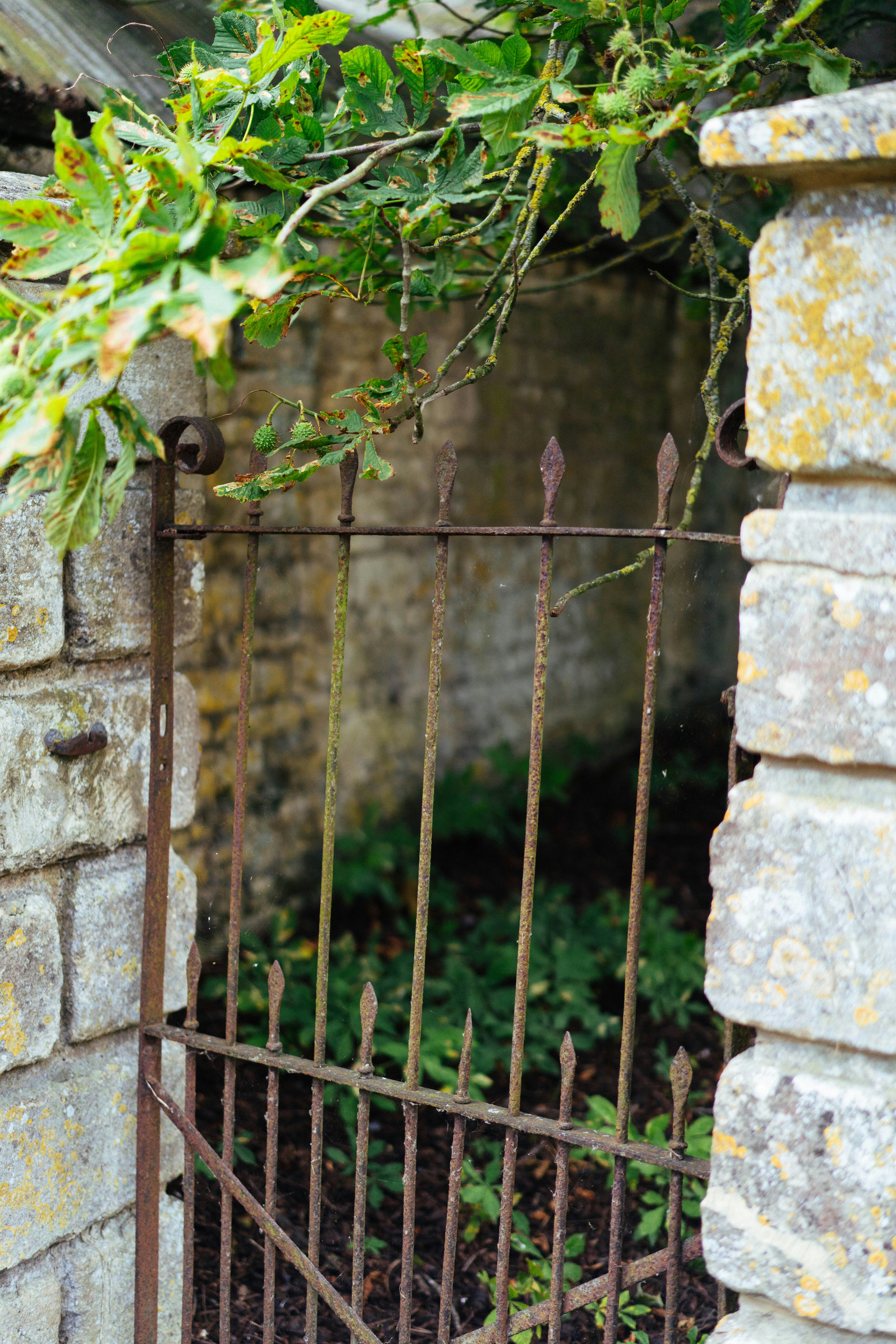 Rusting Gate Beneath Green Canopy