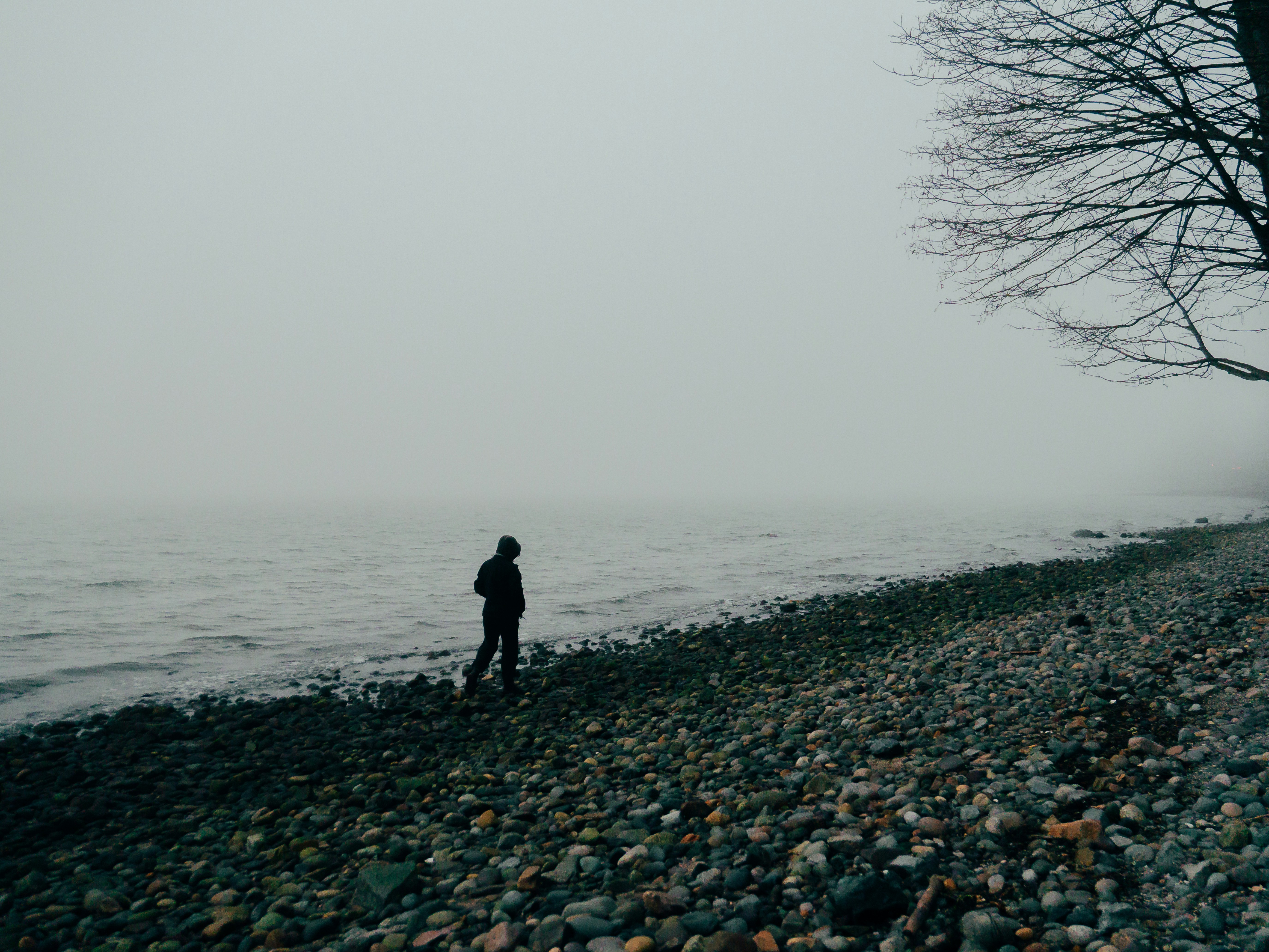 Solo Figure on a Misty Pebble Shore