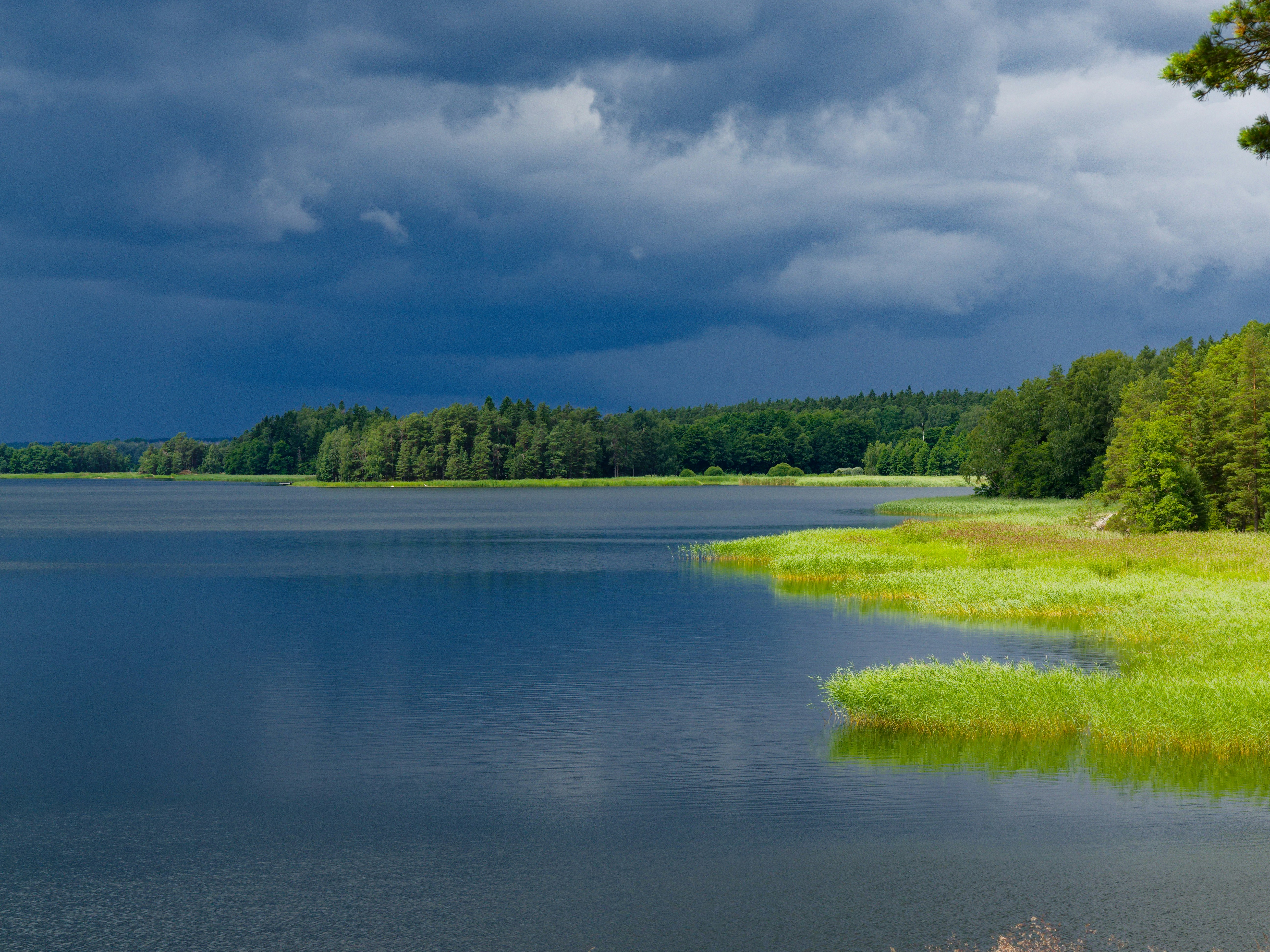 Dramatic storm clouds roll over a tranquil wetland with calm water and grassy shoreline on a sunny bank.