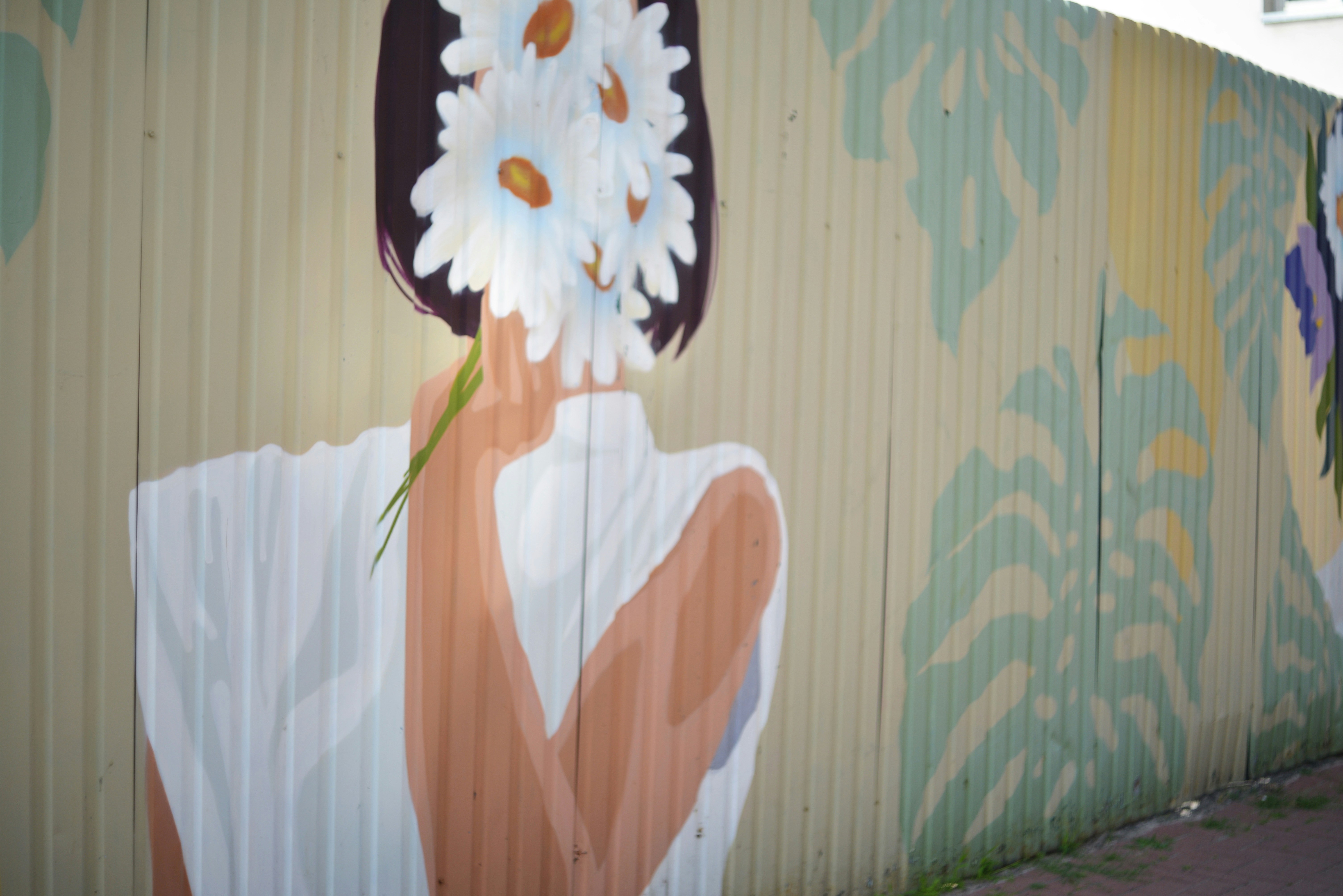 Daisy Crowned Silhouette: A Painted Portrait on a Sunlit Wall