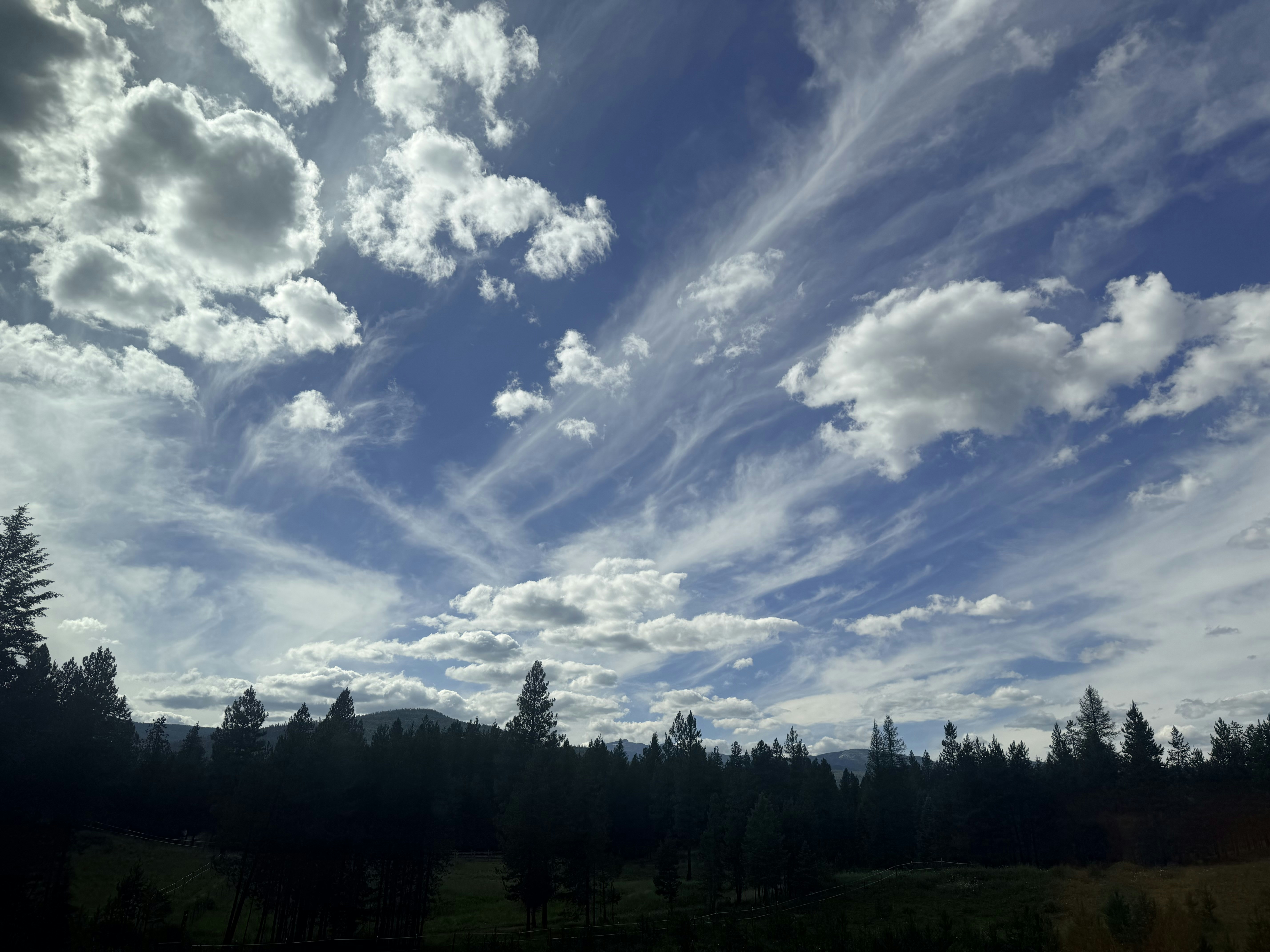 Azure Canvas: Cloudscapes over a Quiet Pine Meadow