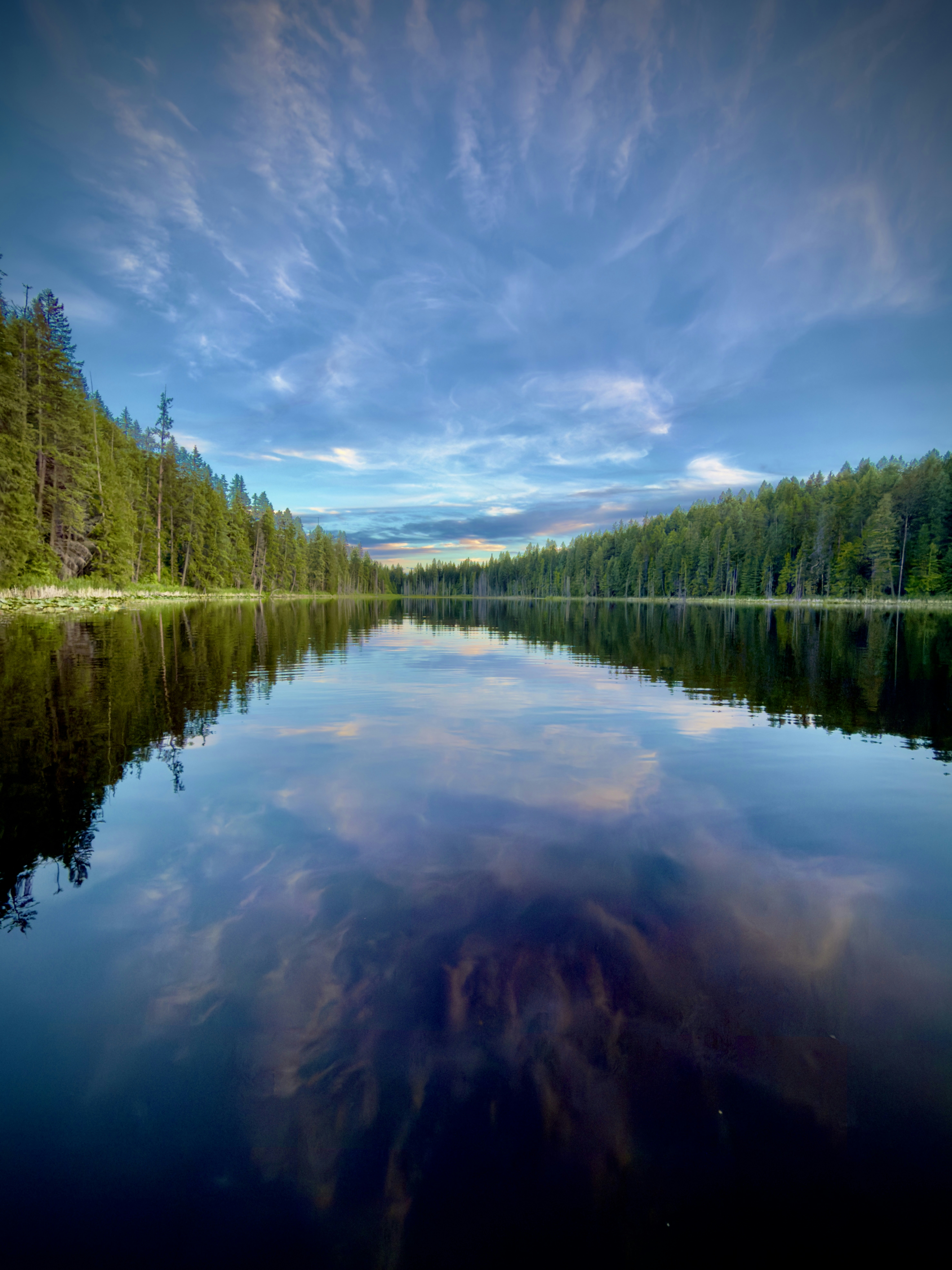 Mirror of the Pines: A Quiet Lake Under Open Sky