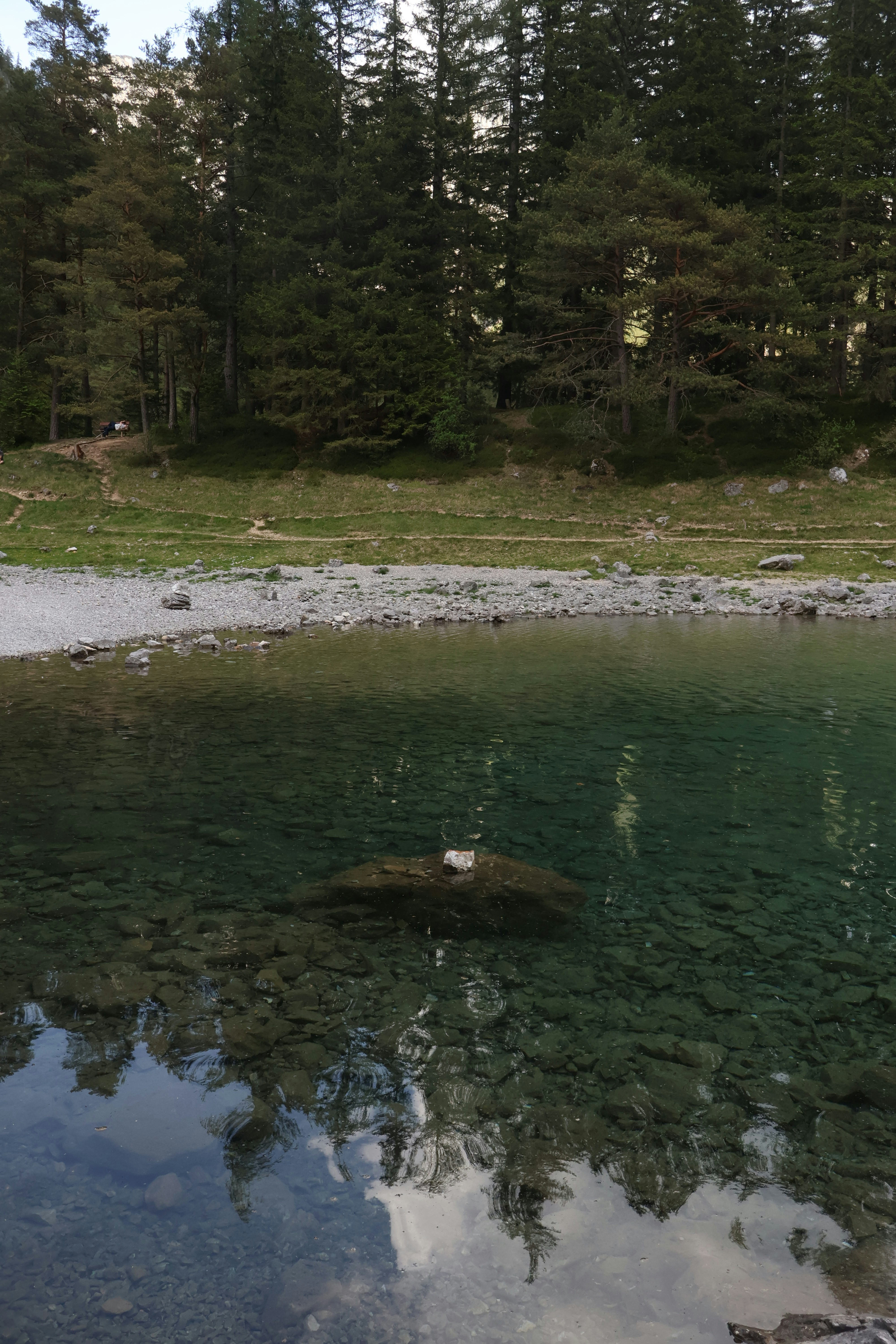 Tranquil Riverbed Mirror: Pines and Clear Water