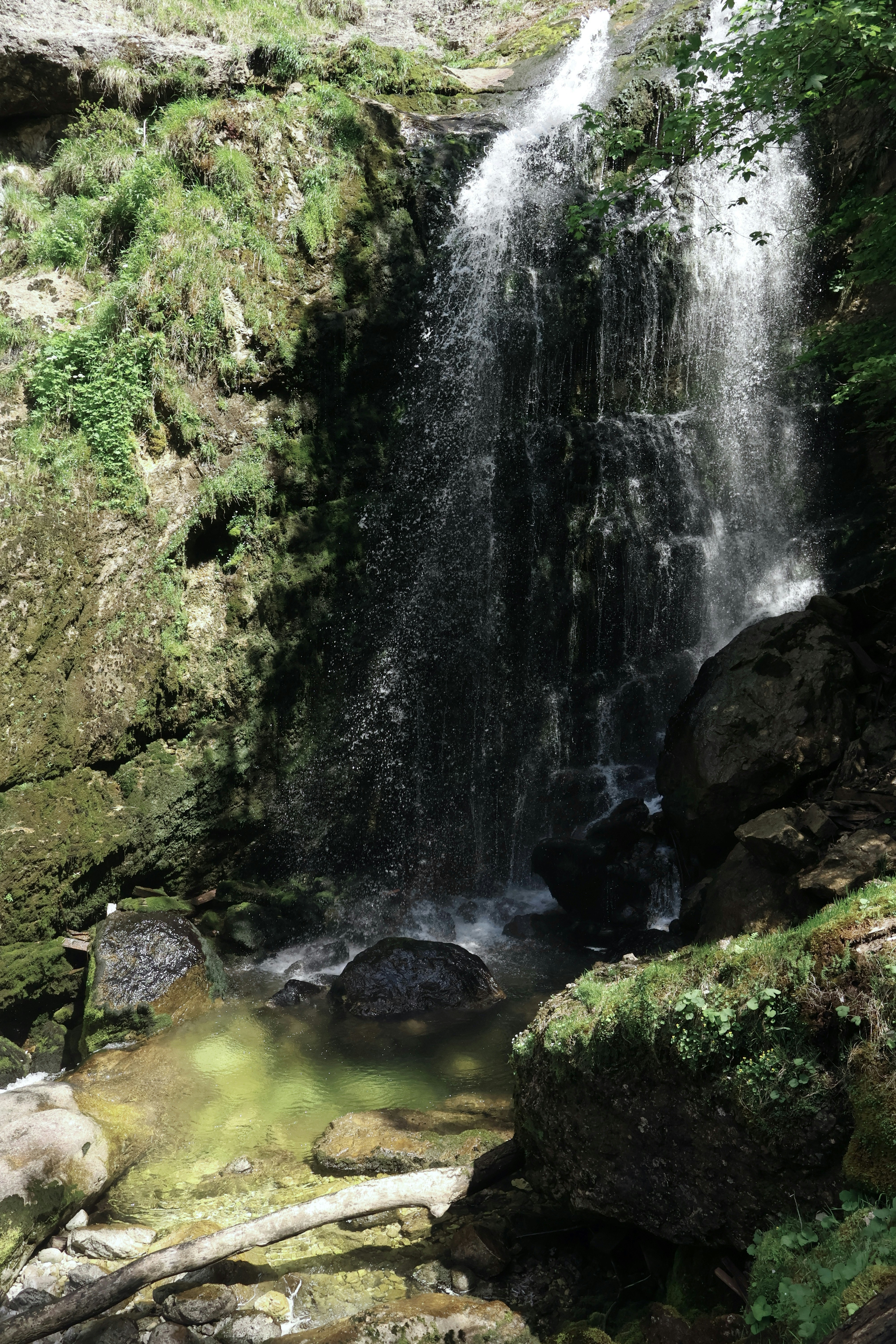 Emerald Veil: A Quiet Cascade in Sunlit Moss