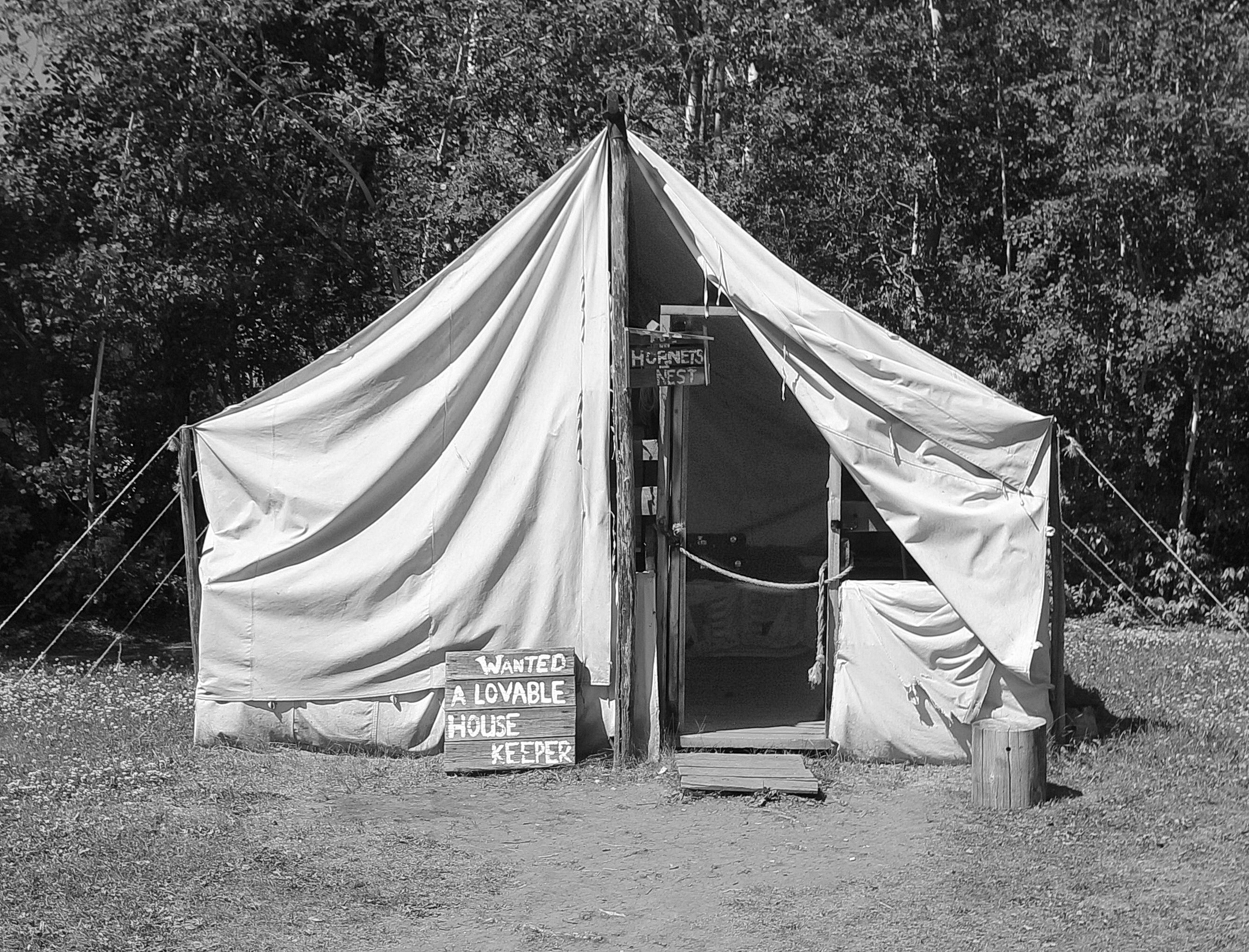Front Door of the A-frame Tent: A Quiet Homestead in the Pines