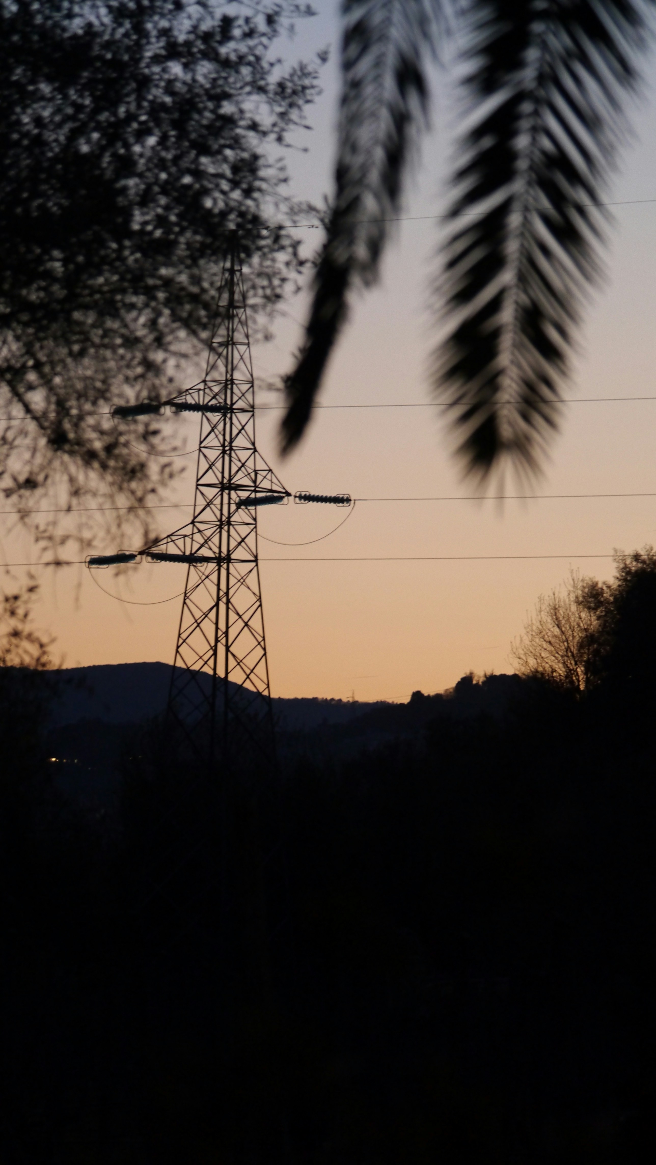 Silhouette of a Transmission Tower Framed by Sunset and Palm Fronds