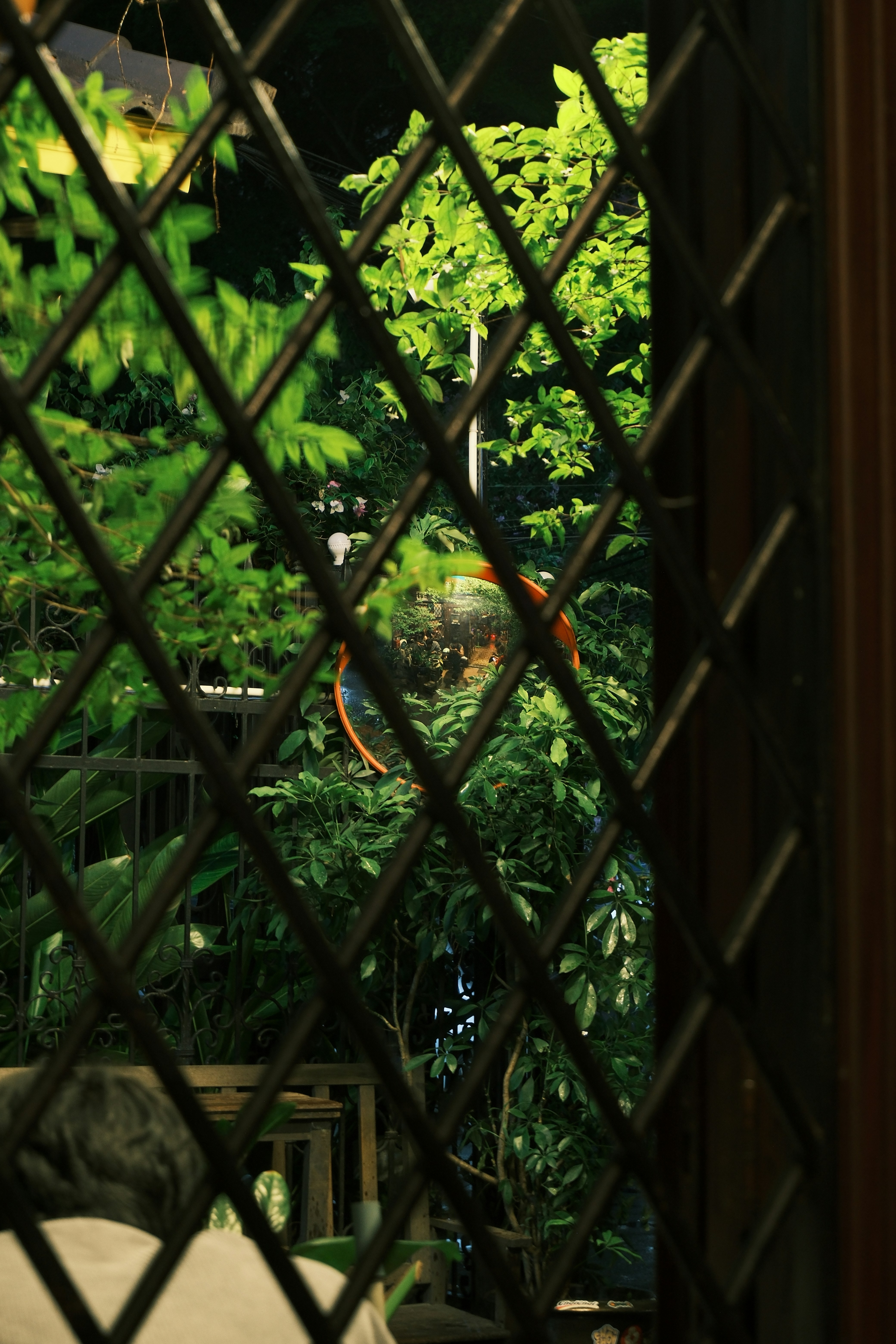 Looking out from the café through the herringbone-patterned window frame.