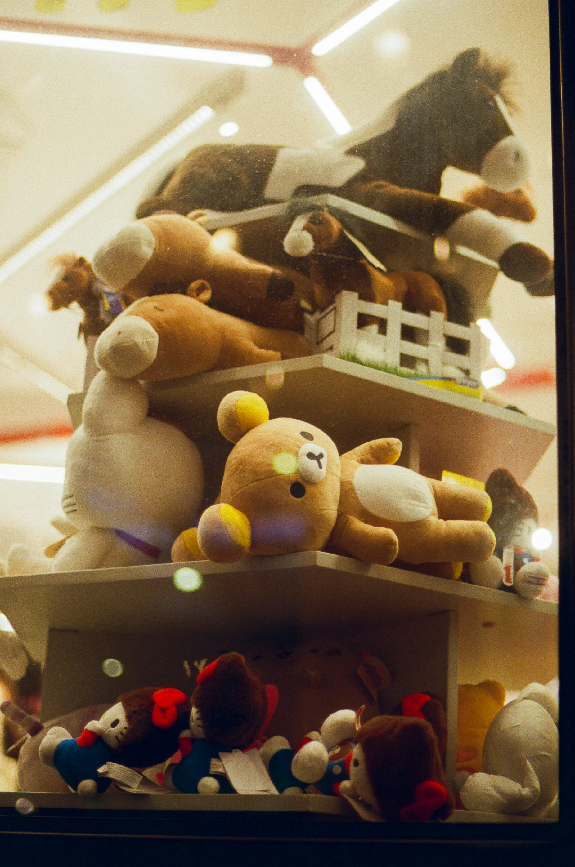 Stuffed animals displayed behind a glowing shop window, captured on film with warm reflections and a nostalgic childhood mood.