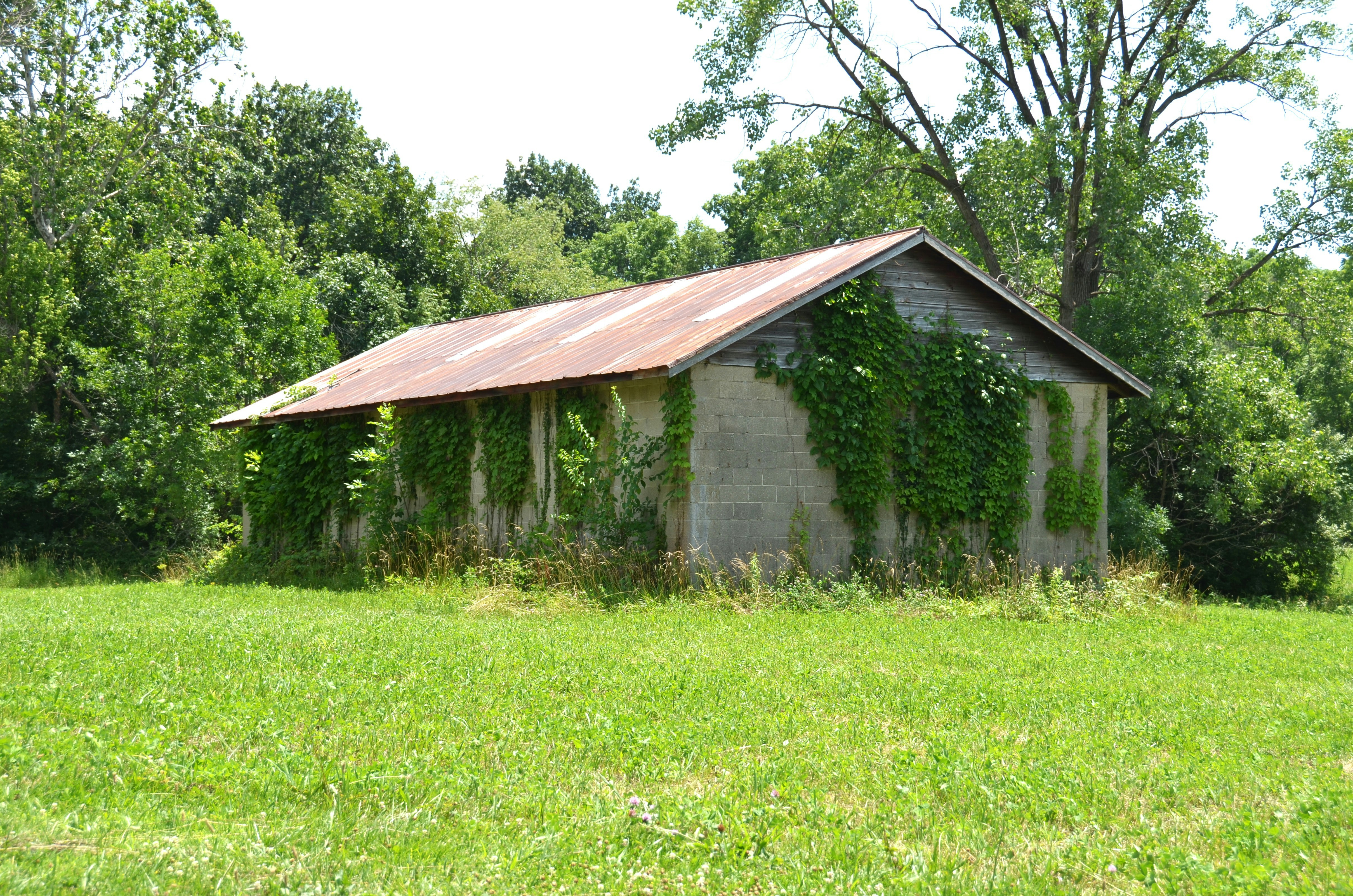 Rustic Barn in Sunlit Clearing