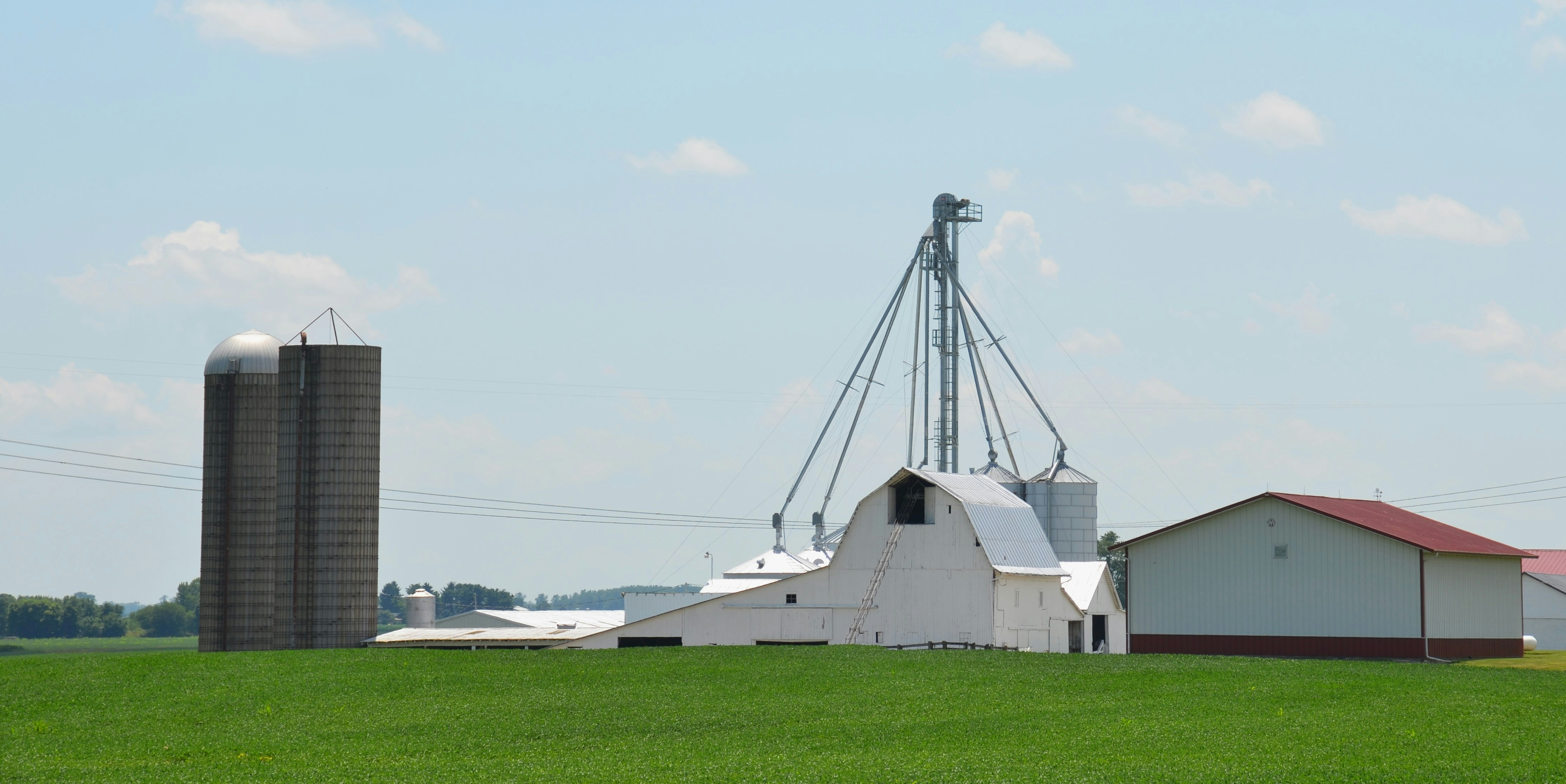 Grain Elevator Horizon: Fresco of Farm Buildings Under Wide Sky