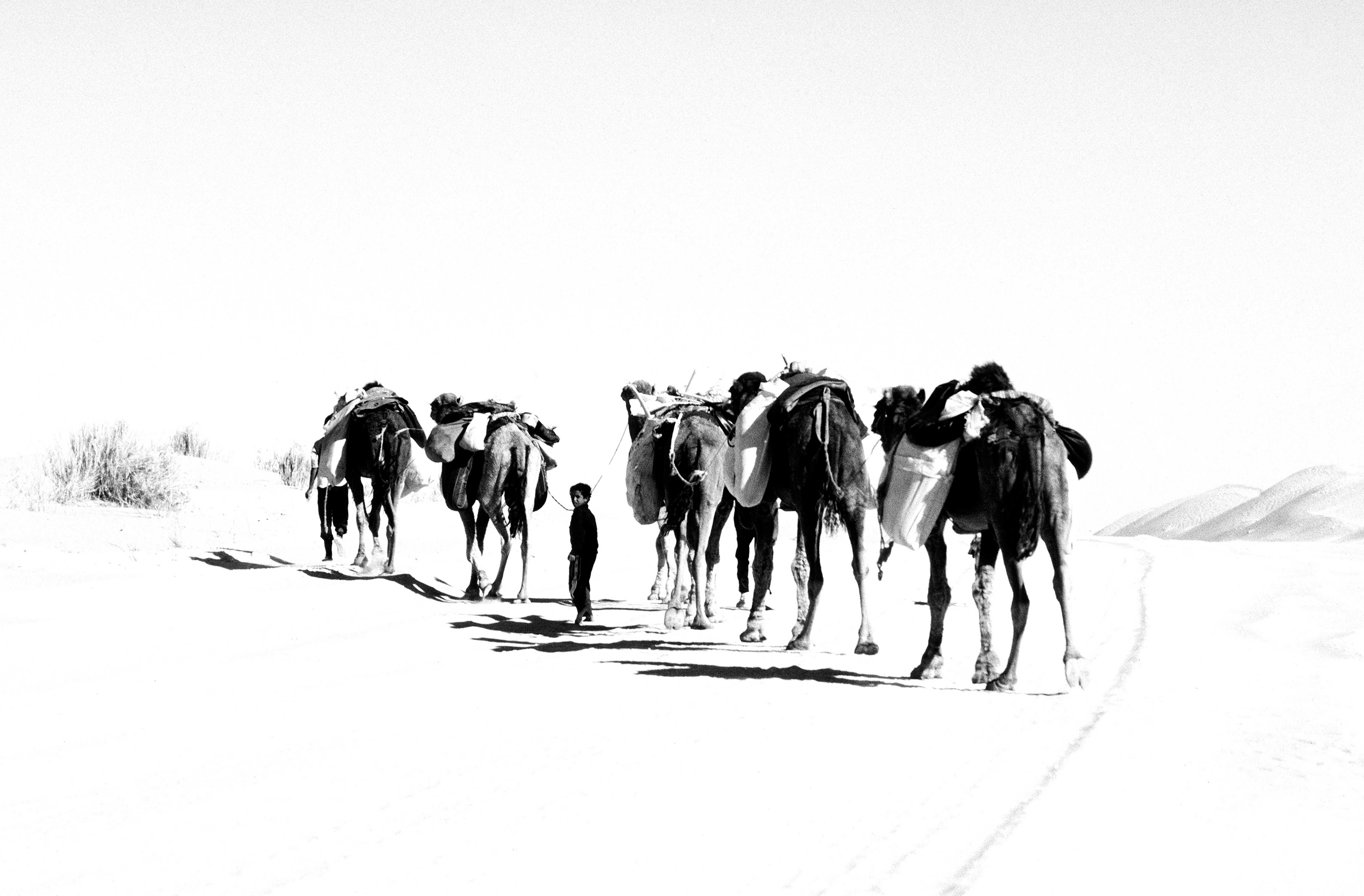 Nomads and Camels Crossing an Exhausted Horizon