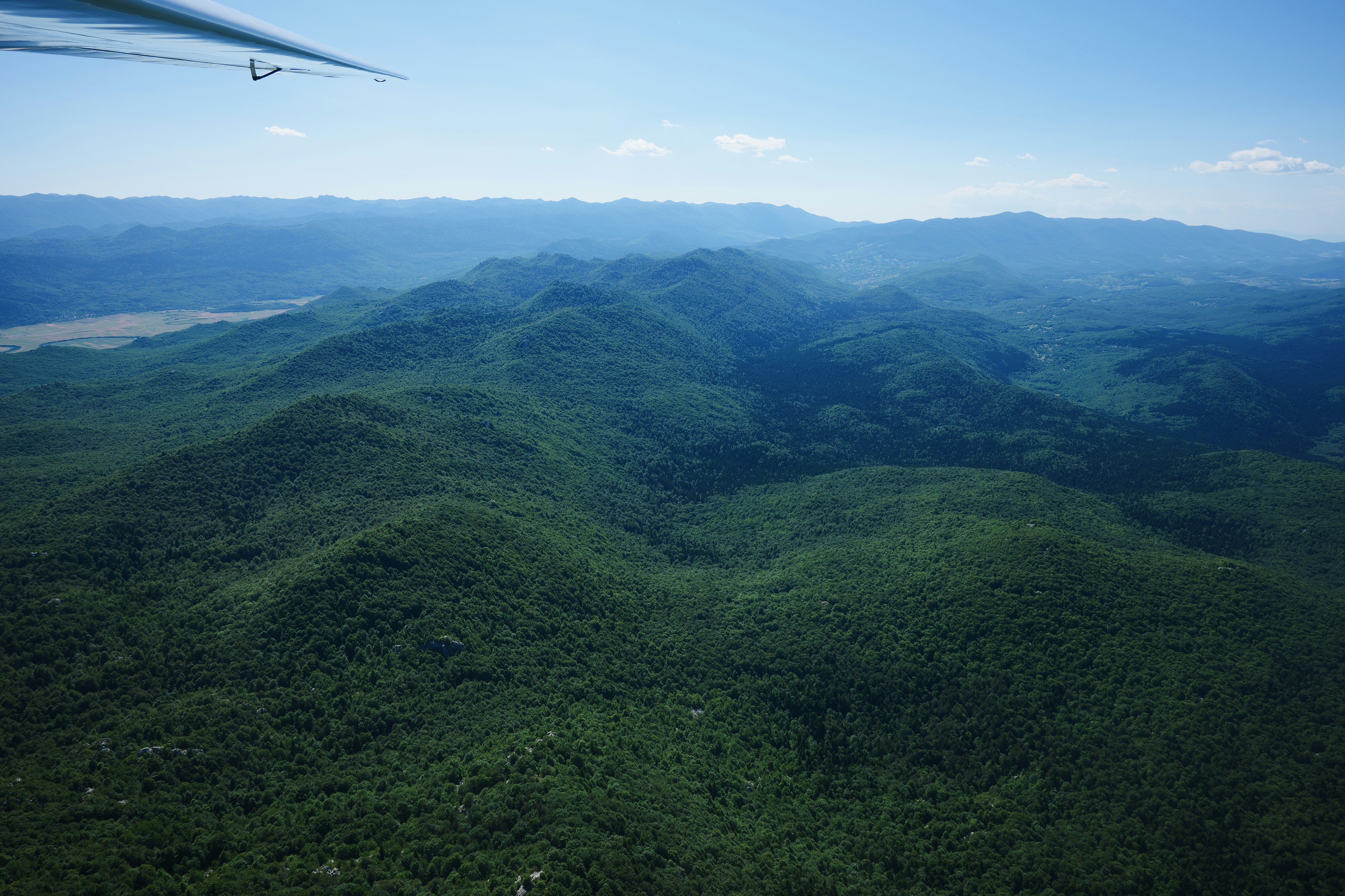 Sea of Green Hills: Aerial View Over Rolling Forest Canopy