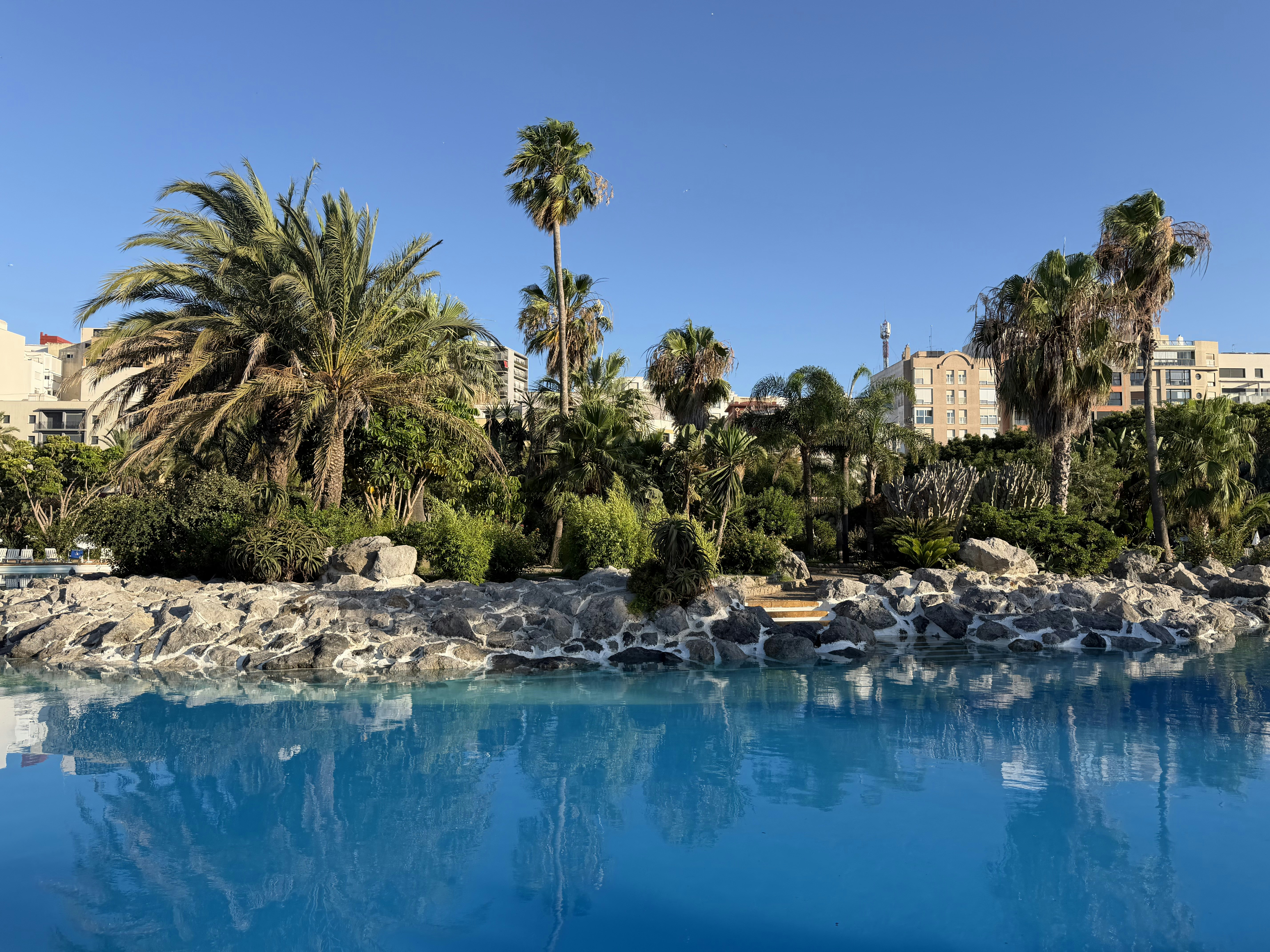 Sunlit coastal pool with rocky edge and lush palm trees beyond; calm water mirrors the blue sky and surrounding foliage, conveying a resort scene.