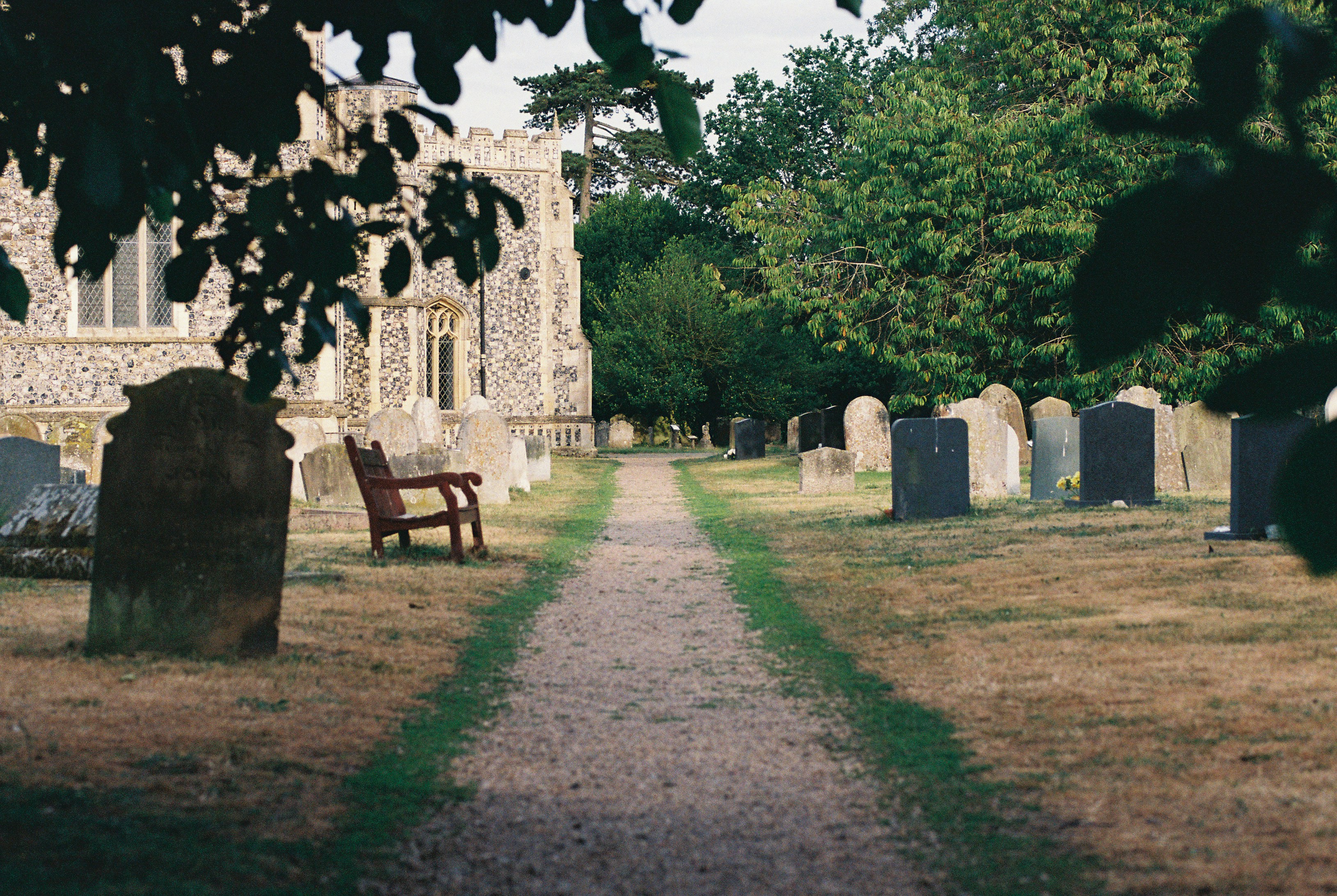 Path Through a Quiet Cemetery: Stone Monuments and a Woodland Cloak