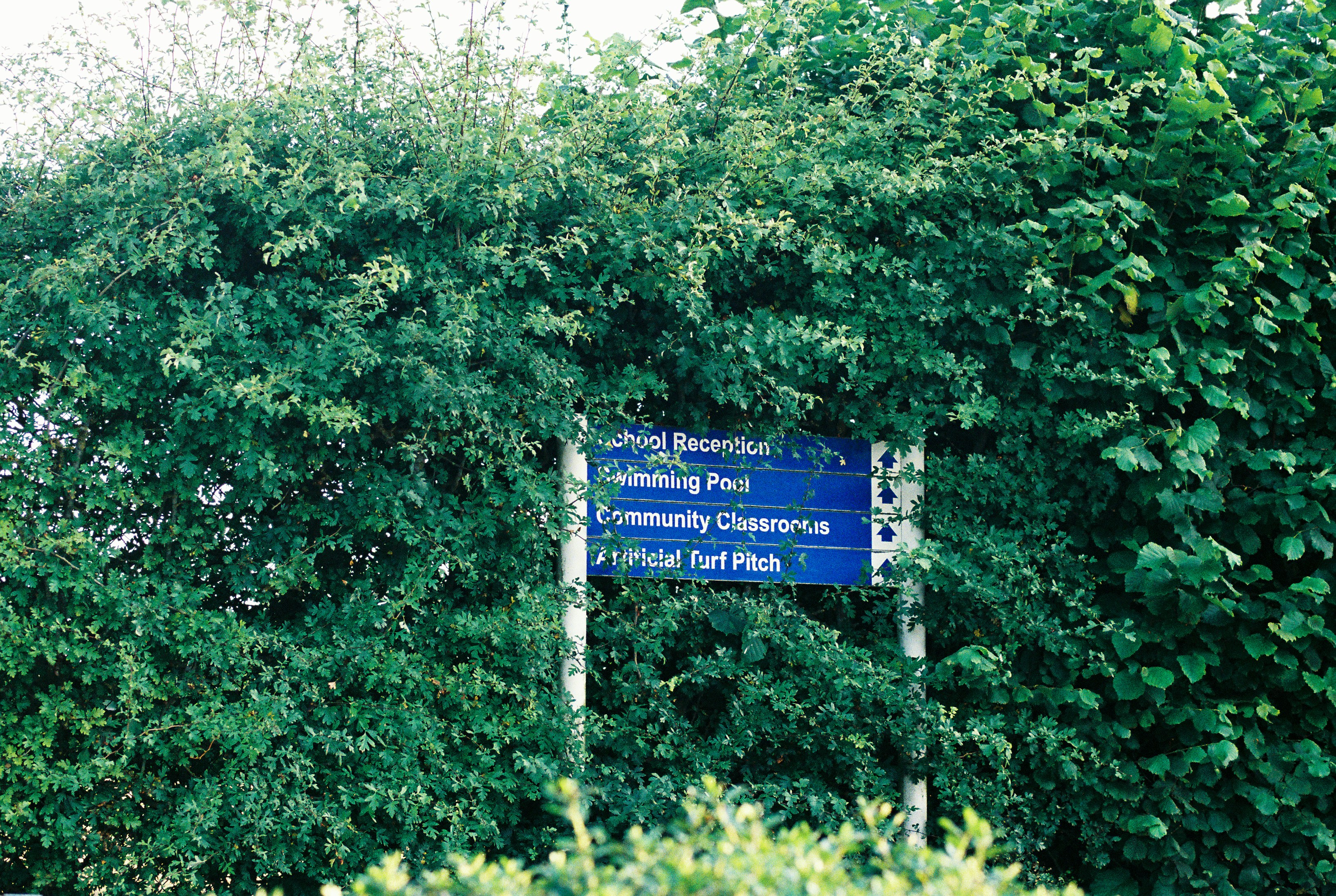 A blue directional sign for school facilities peeks from a wall of dense green foliage.