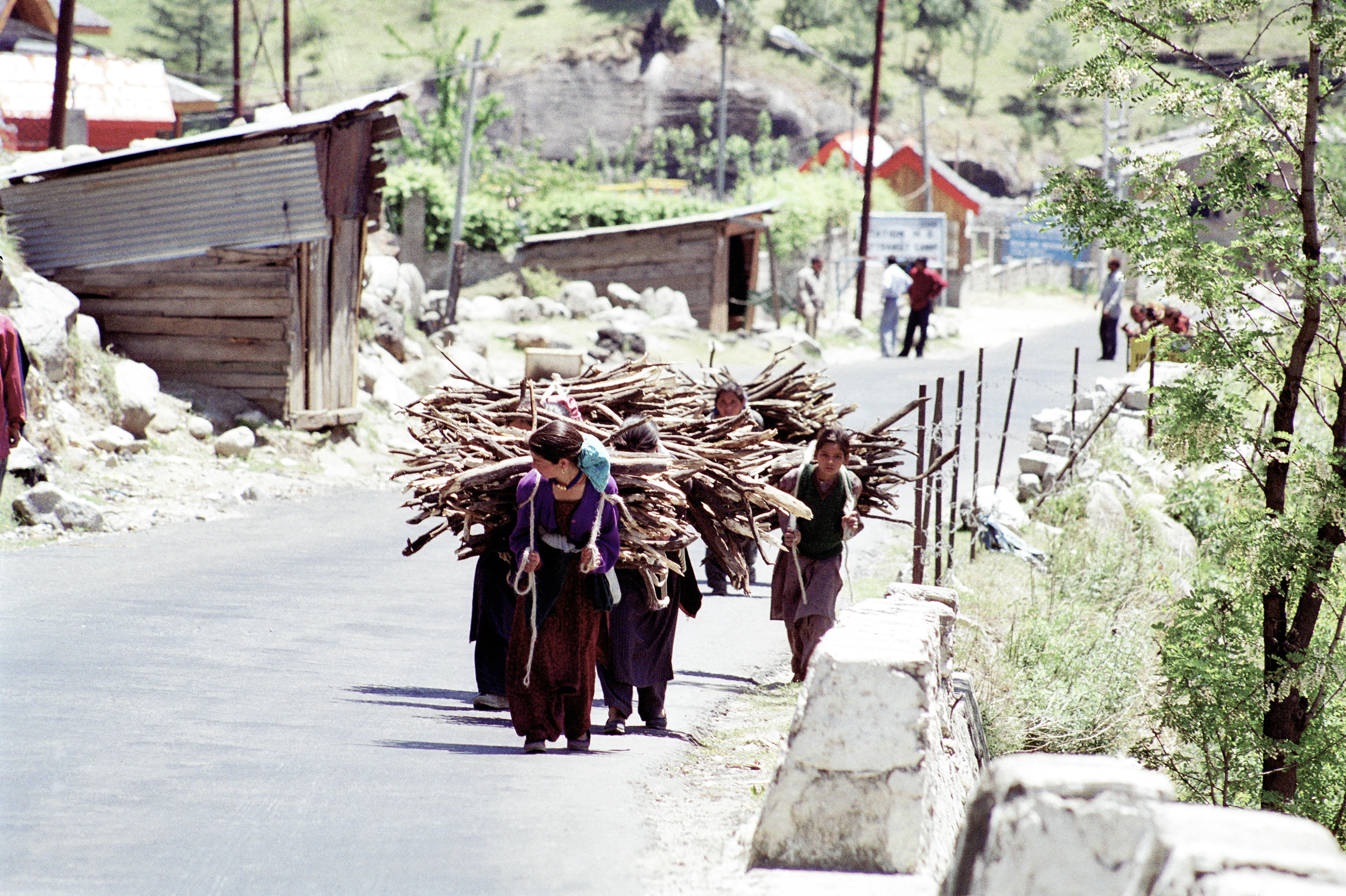 Pack-bearing women walking along a hillside road with a stack of firewood; rural scene highlighting traditional labor in a small village.