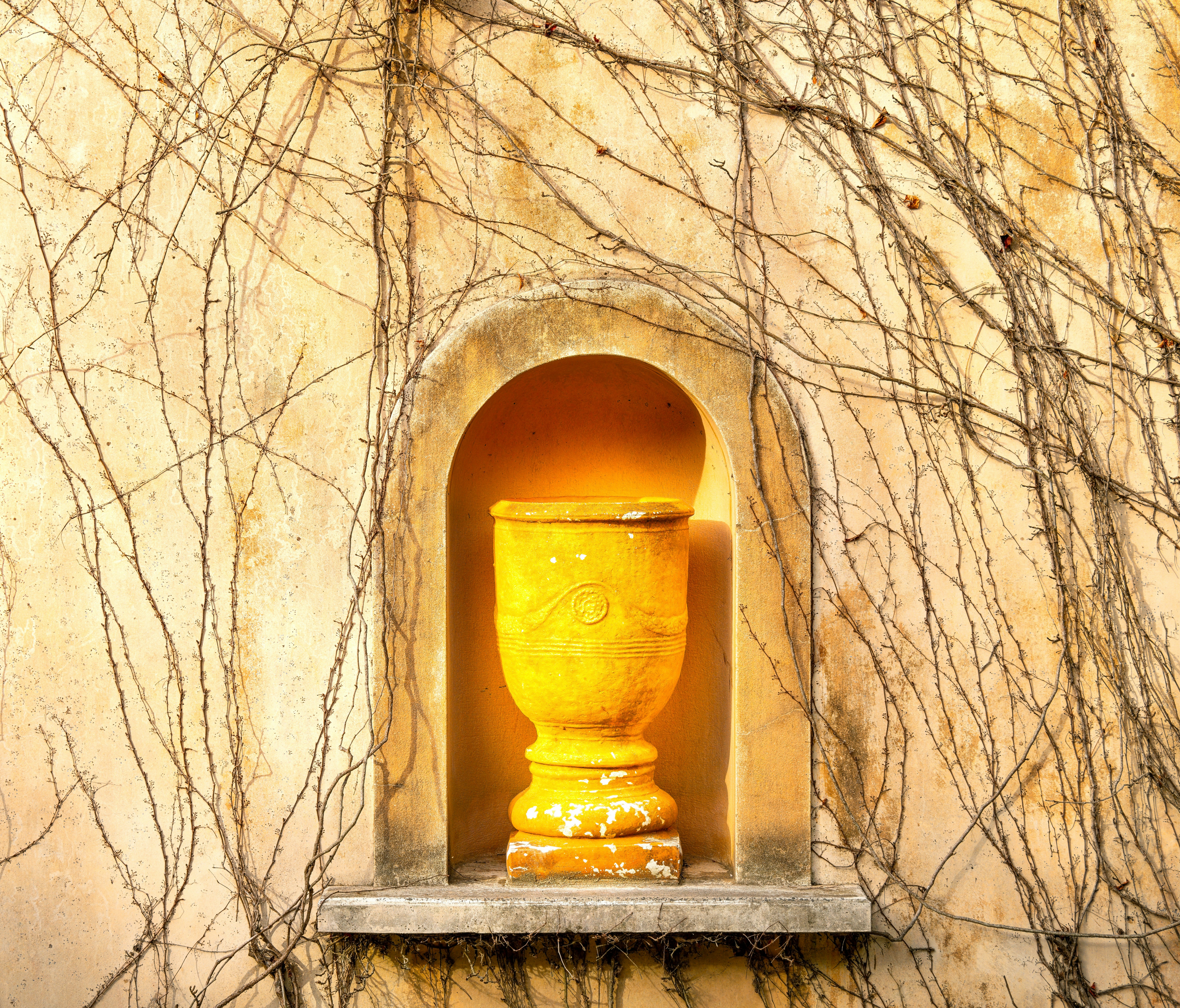 Golden Vessel in a Walled Niche
