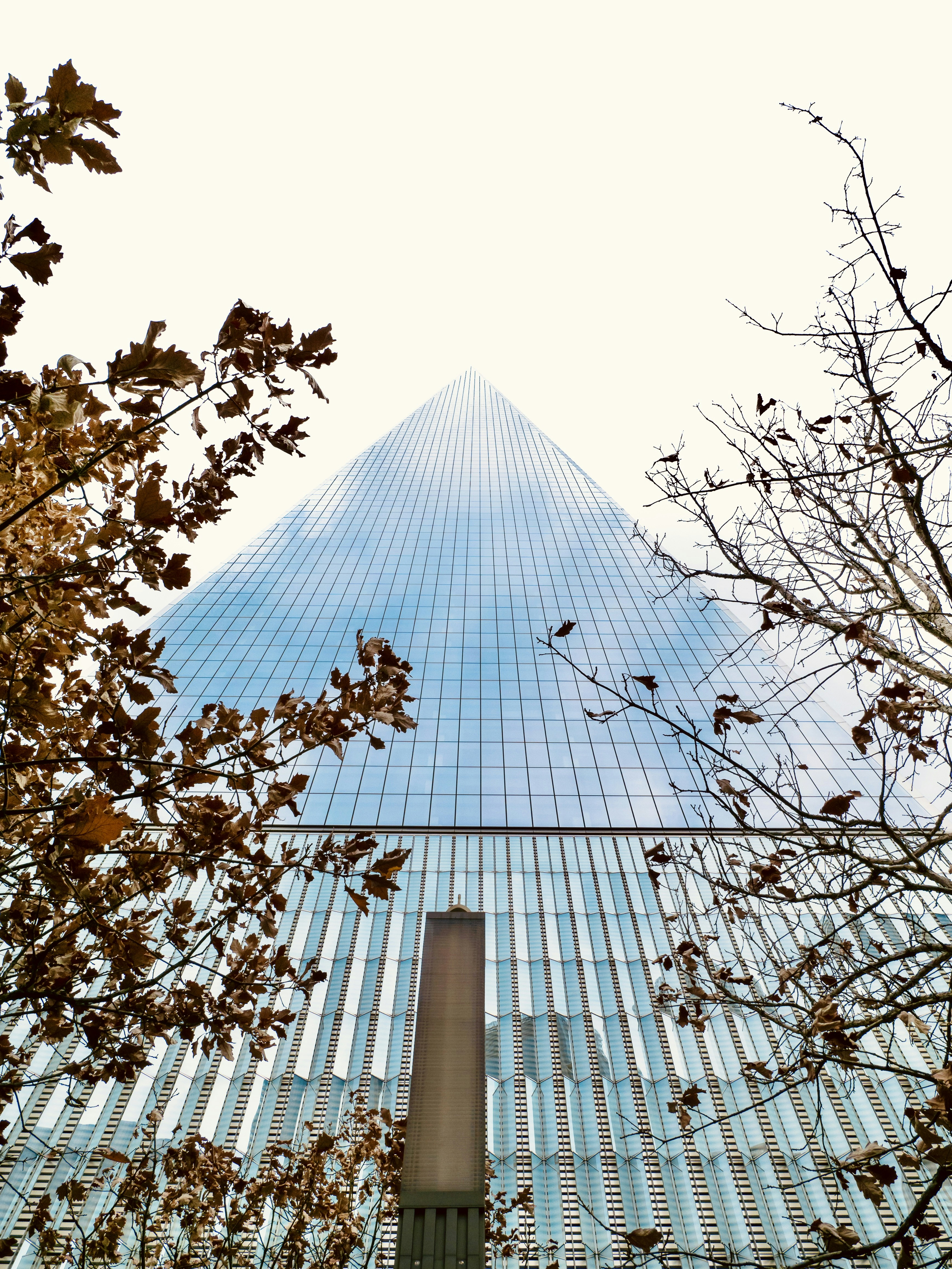 Toward the Sky: Glass Tower Piercing Autumn Framing