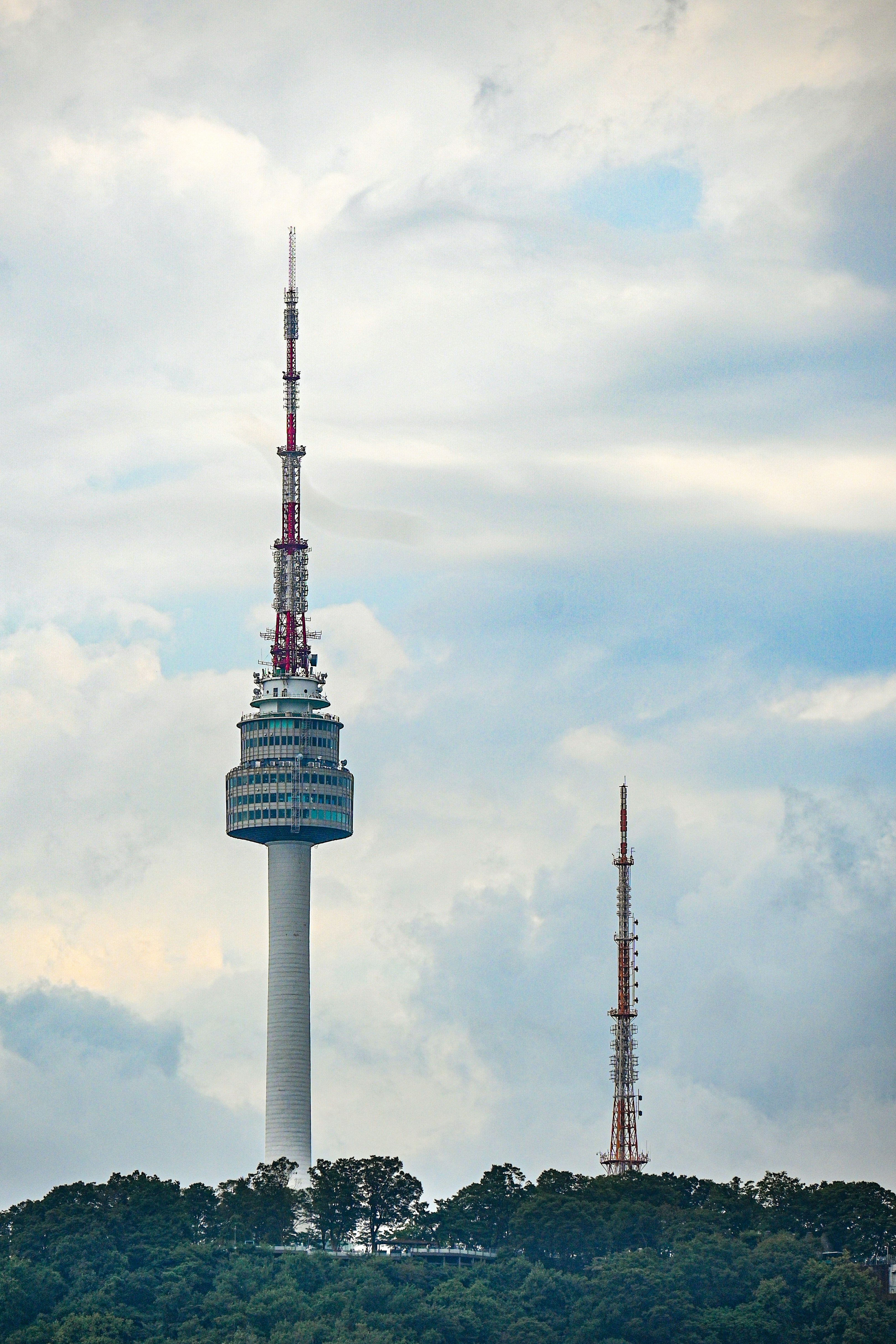 Skyward Spire: A Skyline of Towers Rising Above the Trees